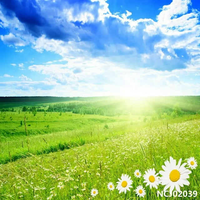 Photophone Spring Photography Backgrounds Blooming Grassland Baby ...