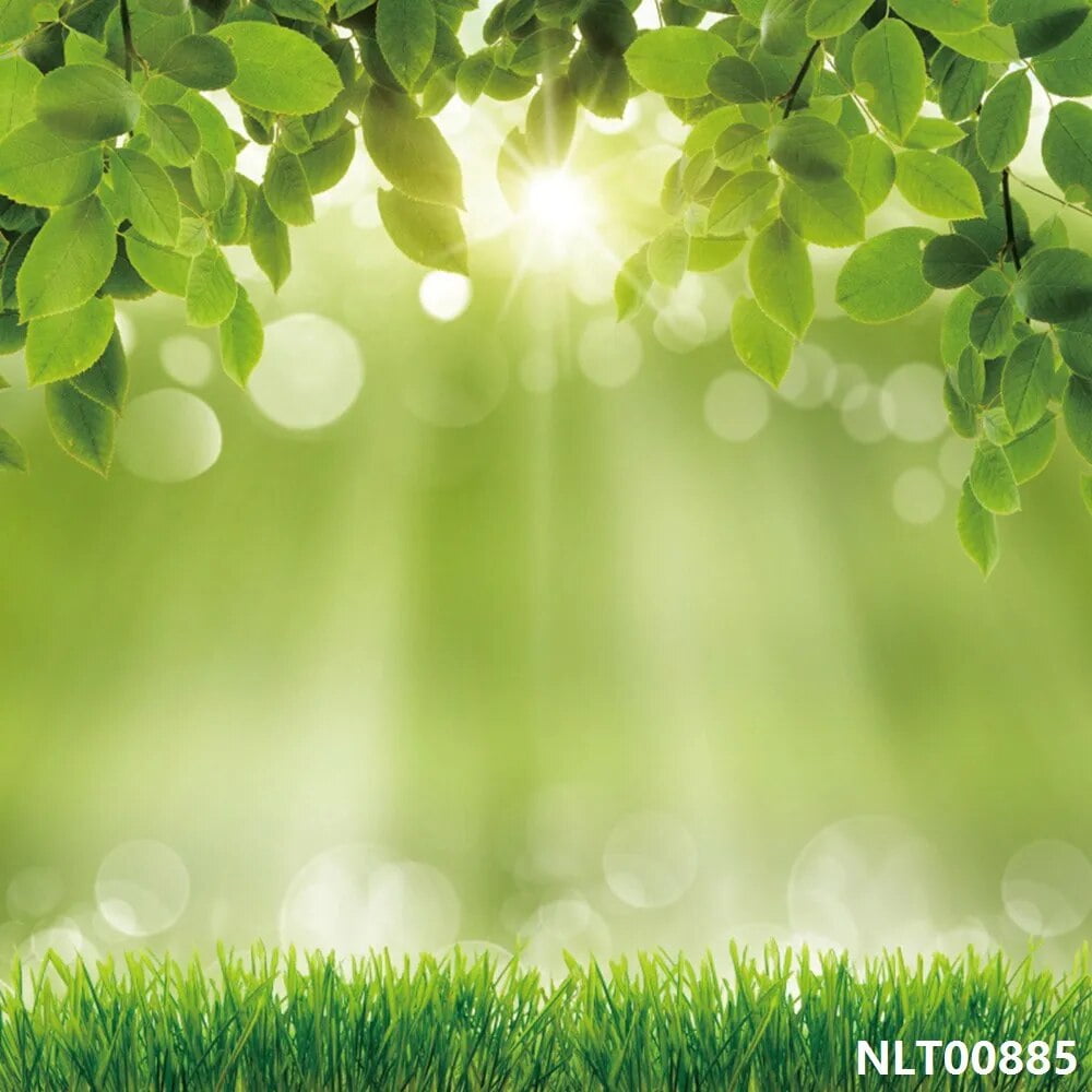 Photophone Spring Photography Backgrounds Blooming Grassland Baby ...