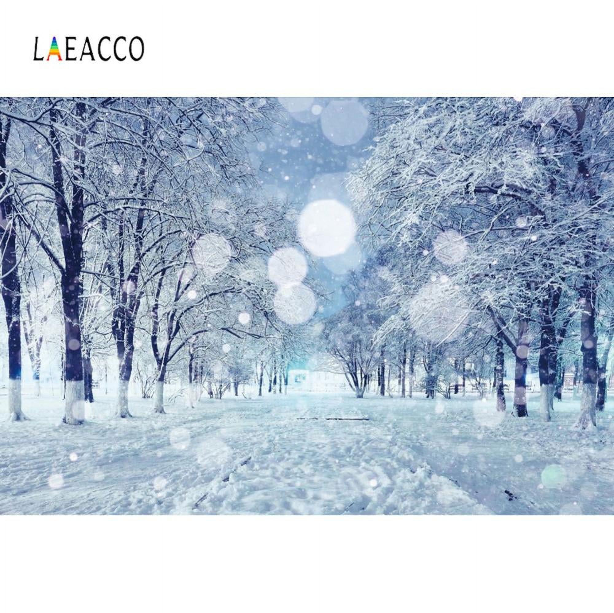 Photostudio Photocall Background Photo Scenic Dreamy Way Park Dots ...