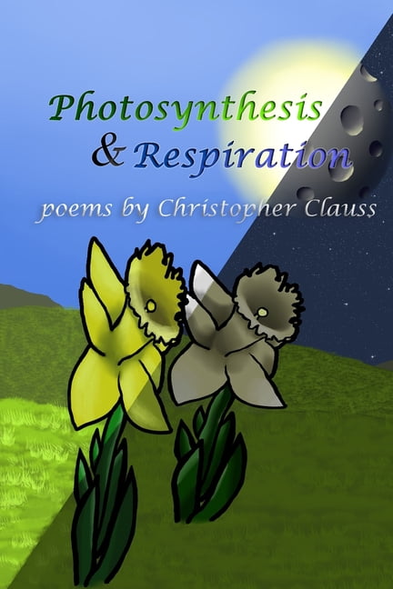 Photosynthesis Respiration