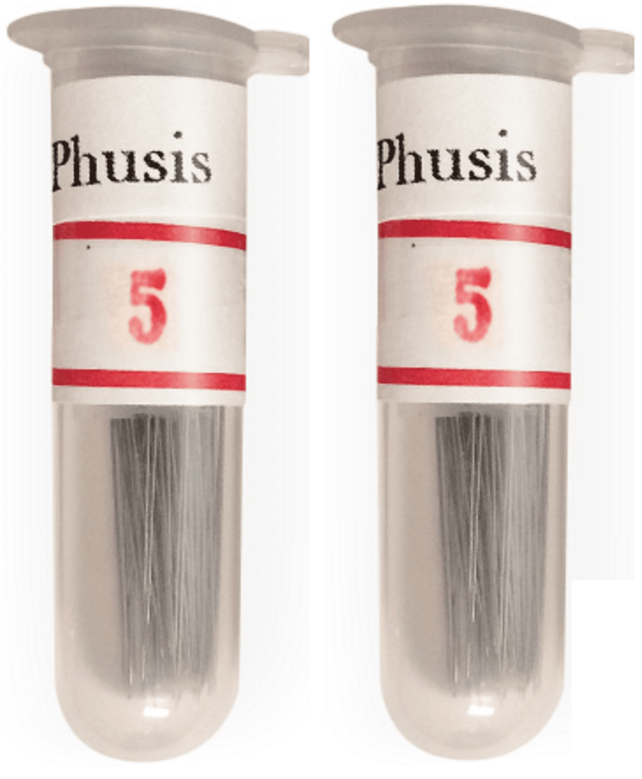 Phusis Stainless Steel Insect Pins - Set of 200 - Hard Plastic Storage ...