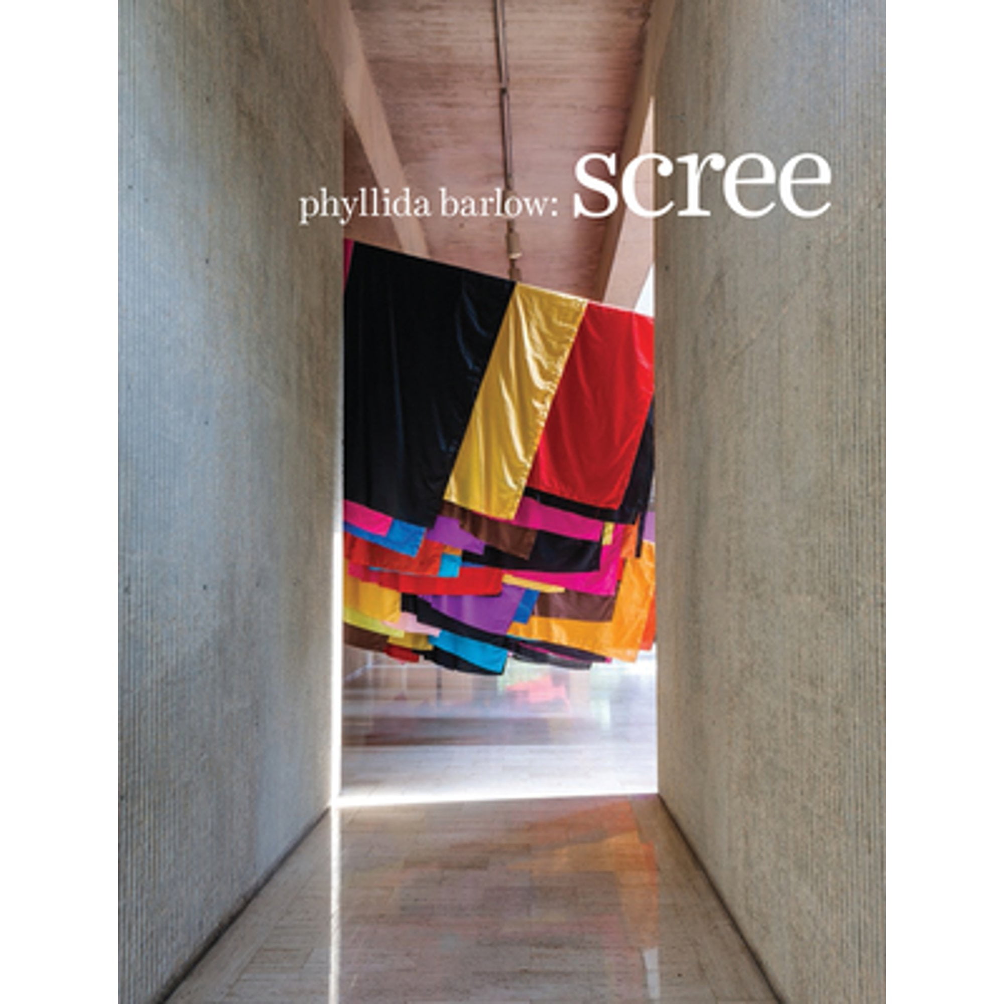 Pre-Owned Phyllida Barlow: Scree (Paperback 9781879003675) by Phyllida ...