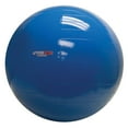 PhysioGymnic molded vinyl inflatable ball, 85 cm (34"), blue - Walmart.com