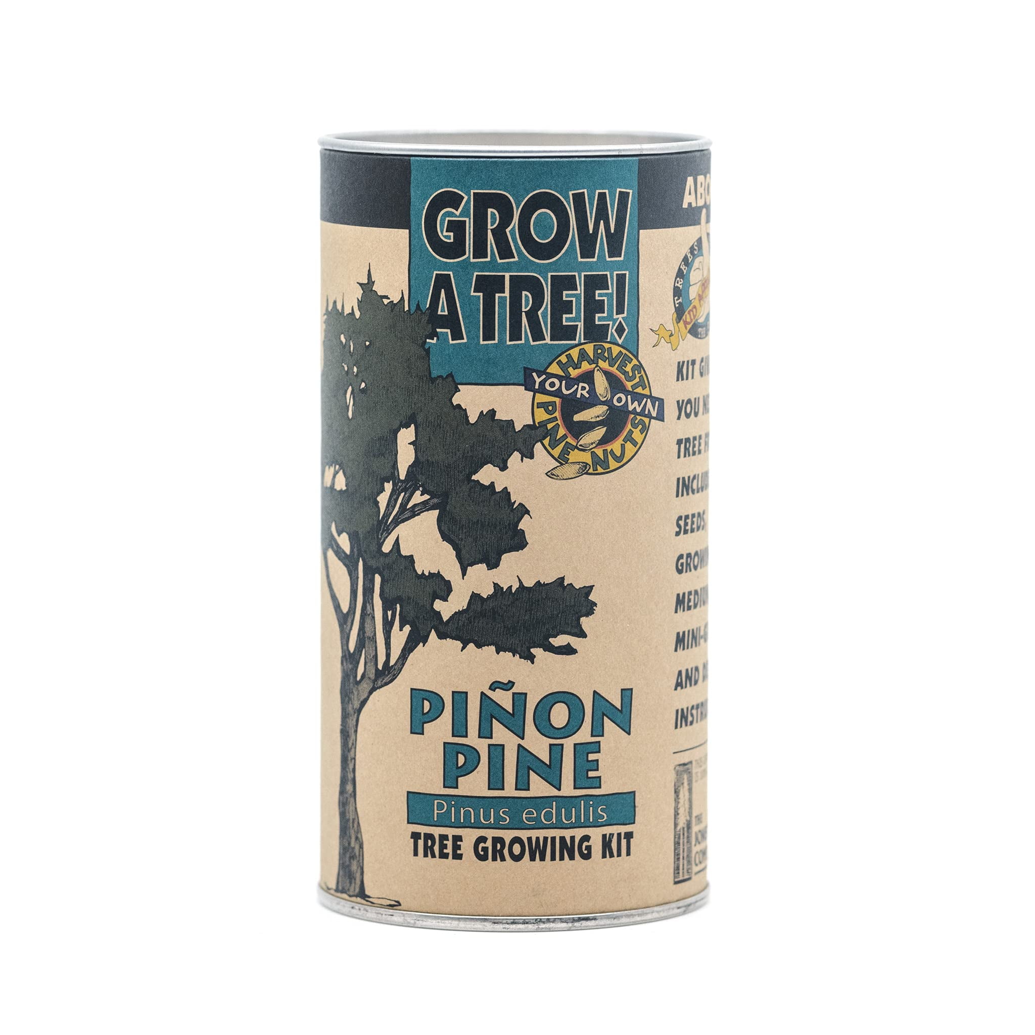 Piñon Pine |ITSC Tree Seed Grow Kit | The Jonsteen Company - Walmart.com