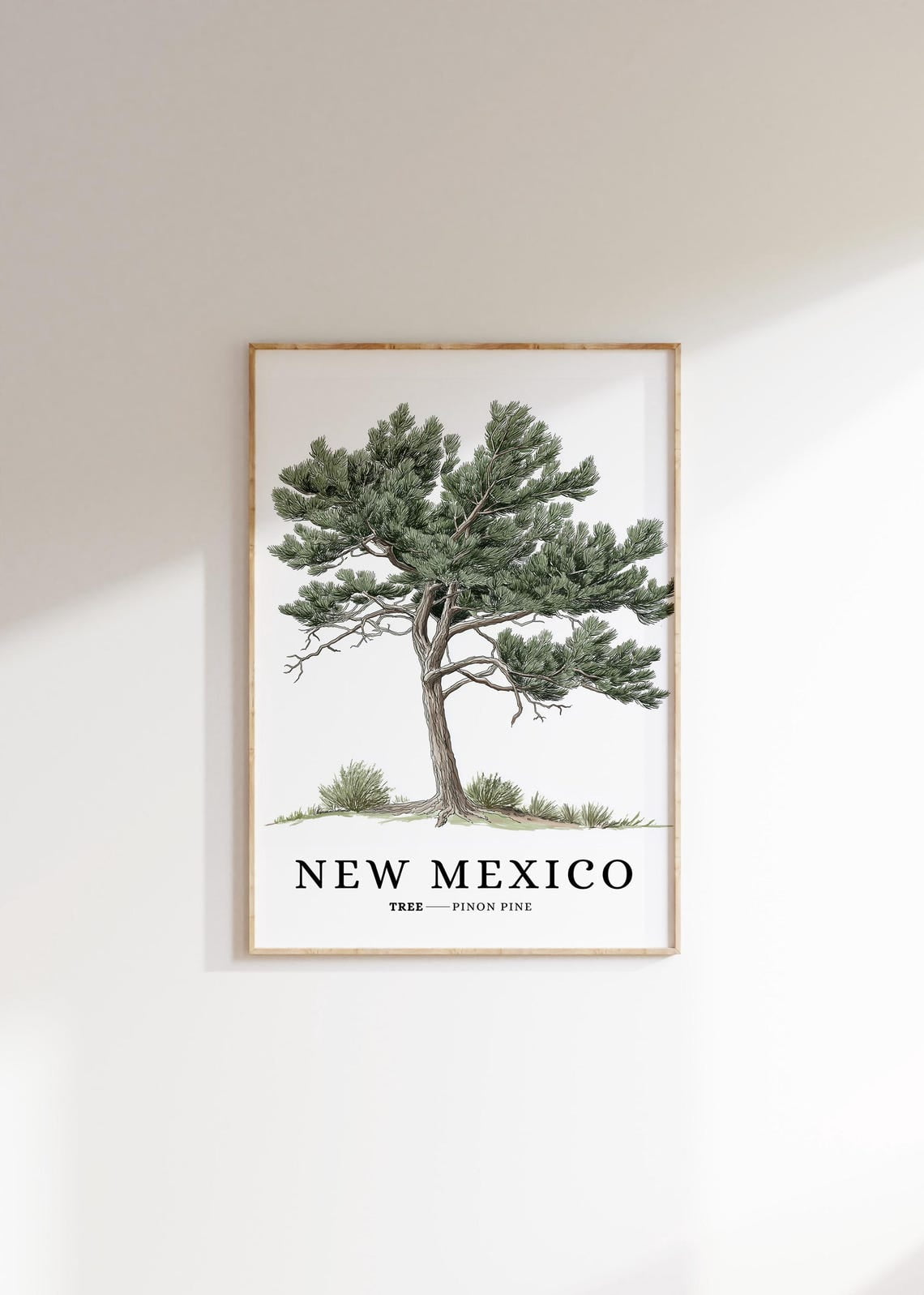 Piñon Pine Tree Poster: New Mexico State Symbol, Botanical Art ...