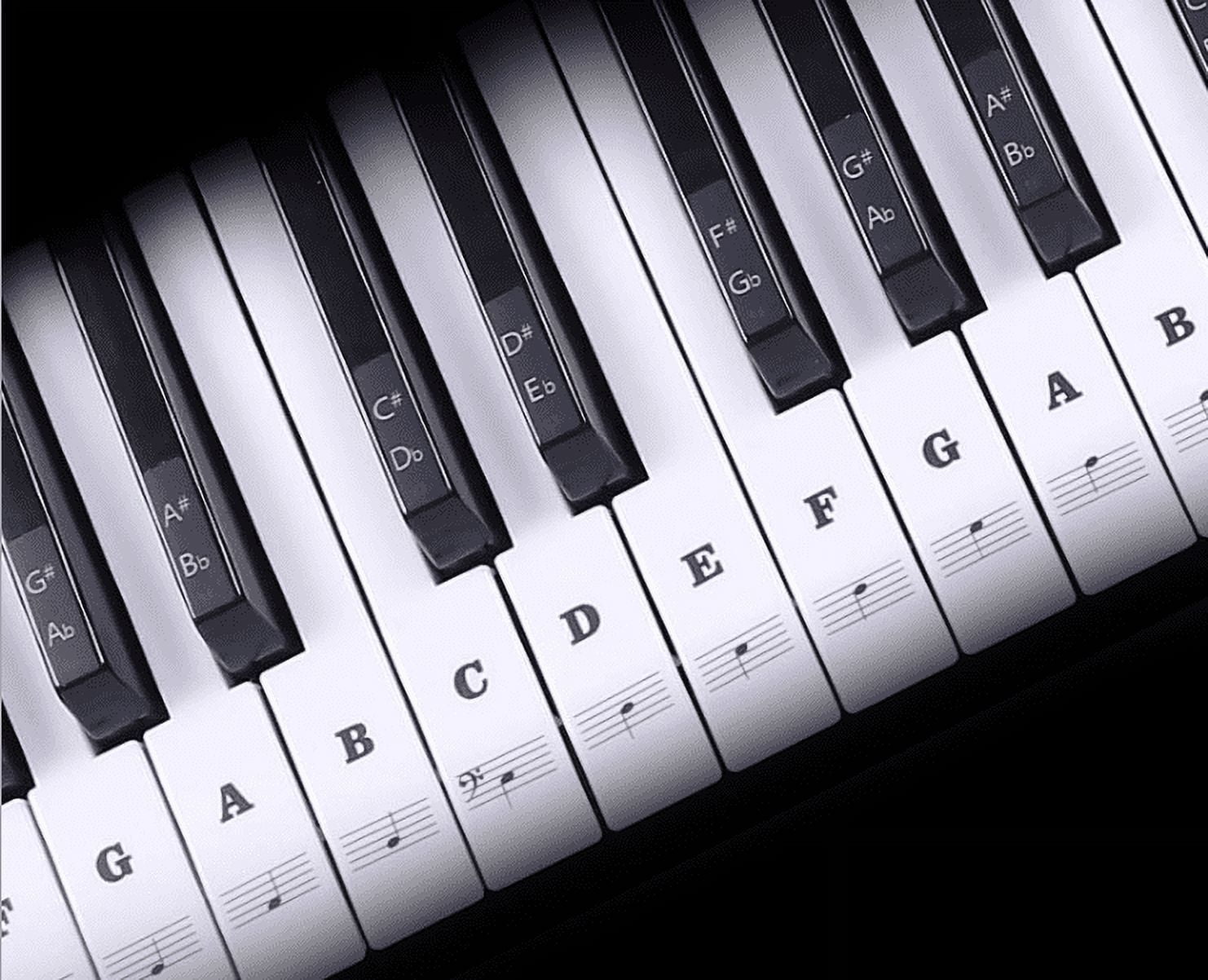 Piano Keyboard Stickers for Beginners 88/76/61/54/49/37 Keys ...