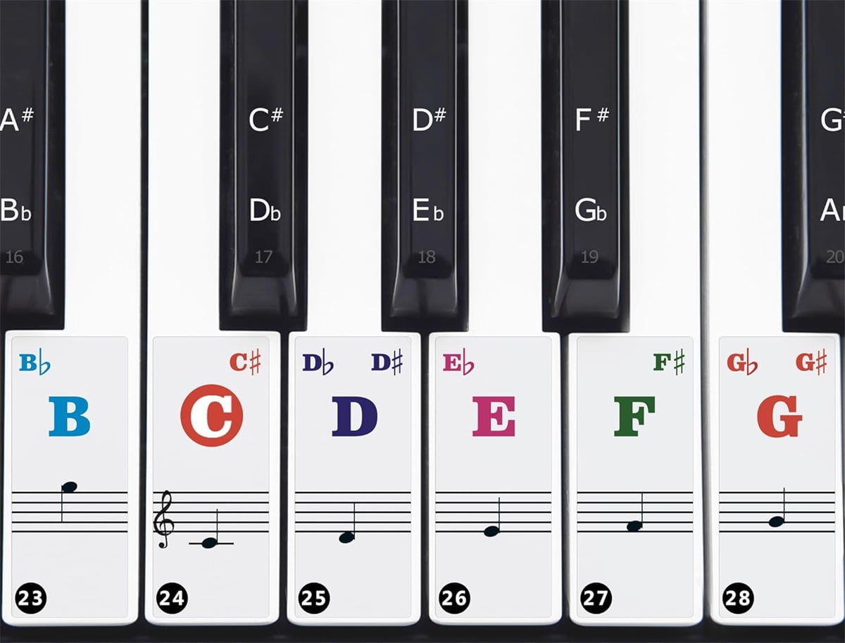 Piano Stickers for Keys 1 Pack,Leave No Residue Piano Keyboard Stickers ...