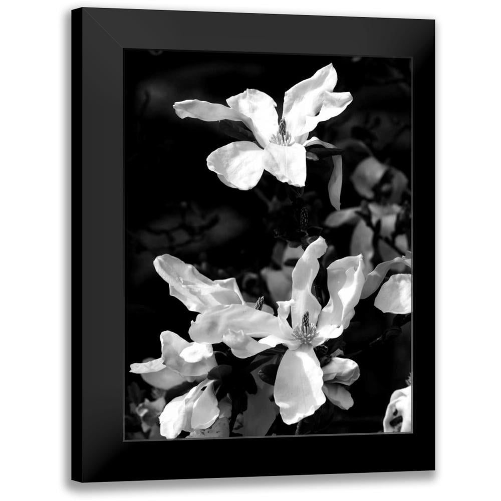 Pica, Jeff 12x14 Black Modern Framed Museum Art Print Titled - Floral ...