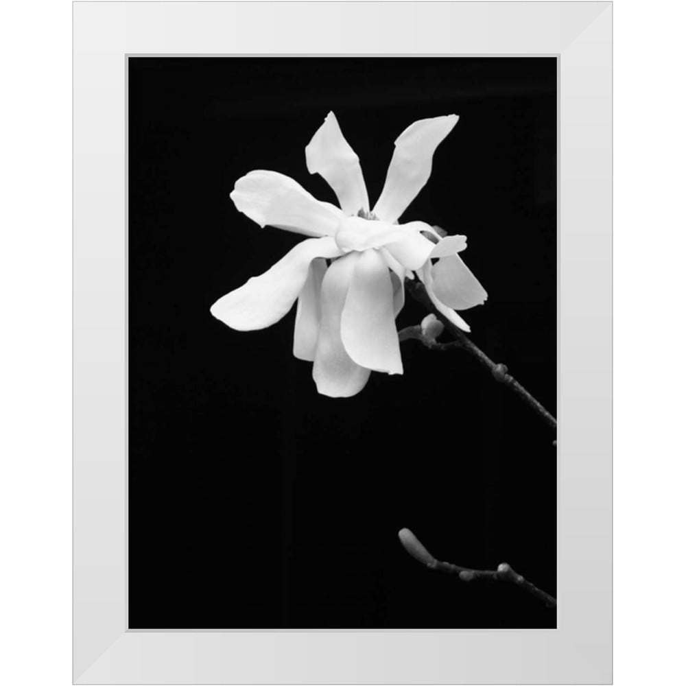 Pica, Jeff 12x14 White Modern Wood Framed Museum Art Print Titled ...