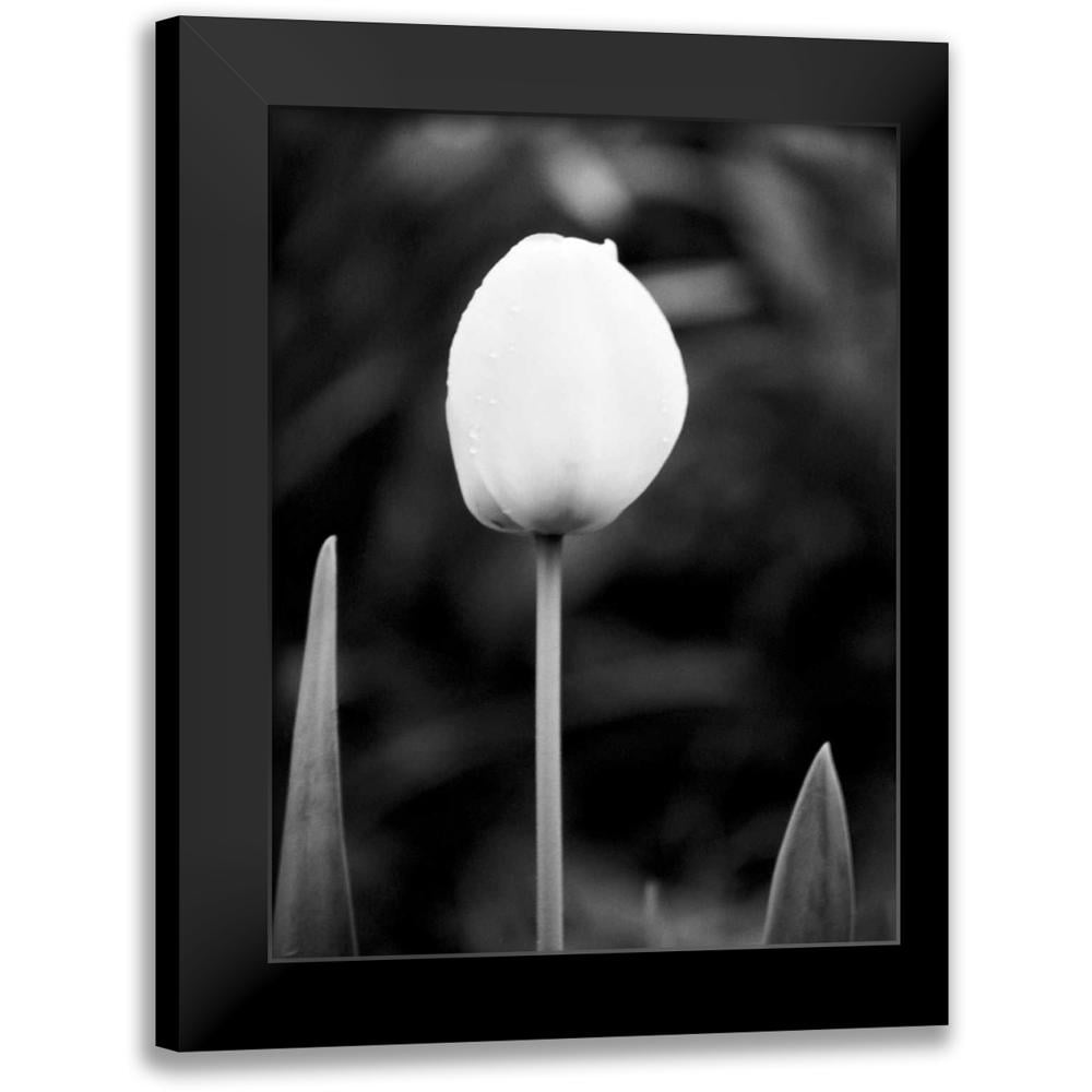 Pica, Jeff 19x24 Black Modern Framed Museum Art Print Titled - Floral ...