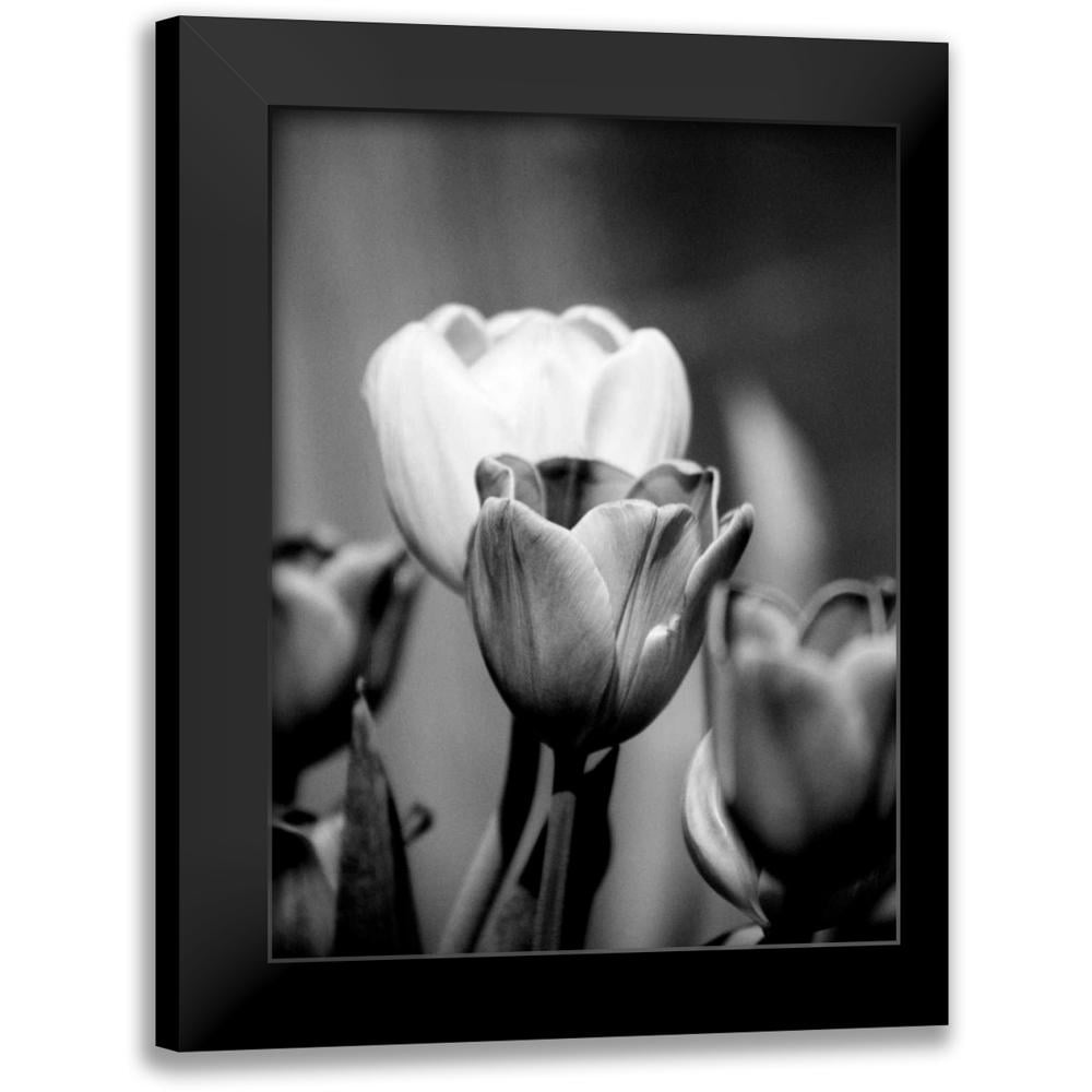 Pica, Jeff 19x24 Black Modern Framed Museum Art Print Titled - Floral ...