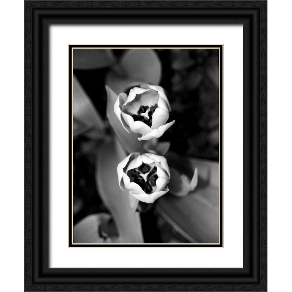 Pica, Jeff 19x24 Black Ornate Wood Framed with Double Matting Museum ...