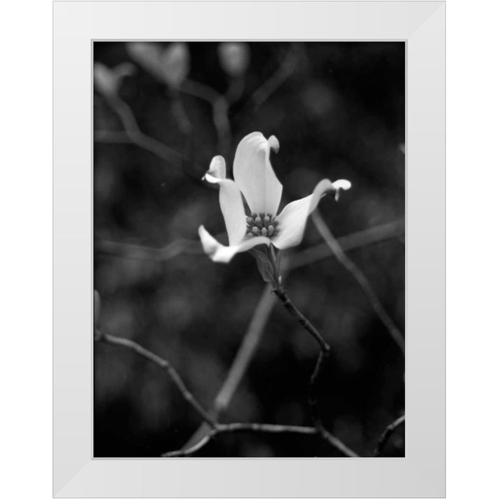 Pica, Jeff 19x24 White Modern Wood Framed Museum Art Print Titled ...