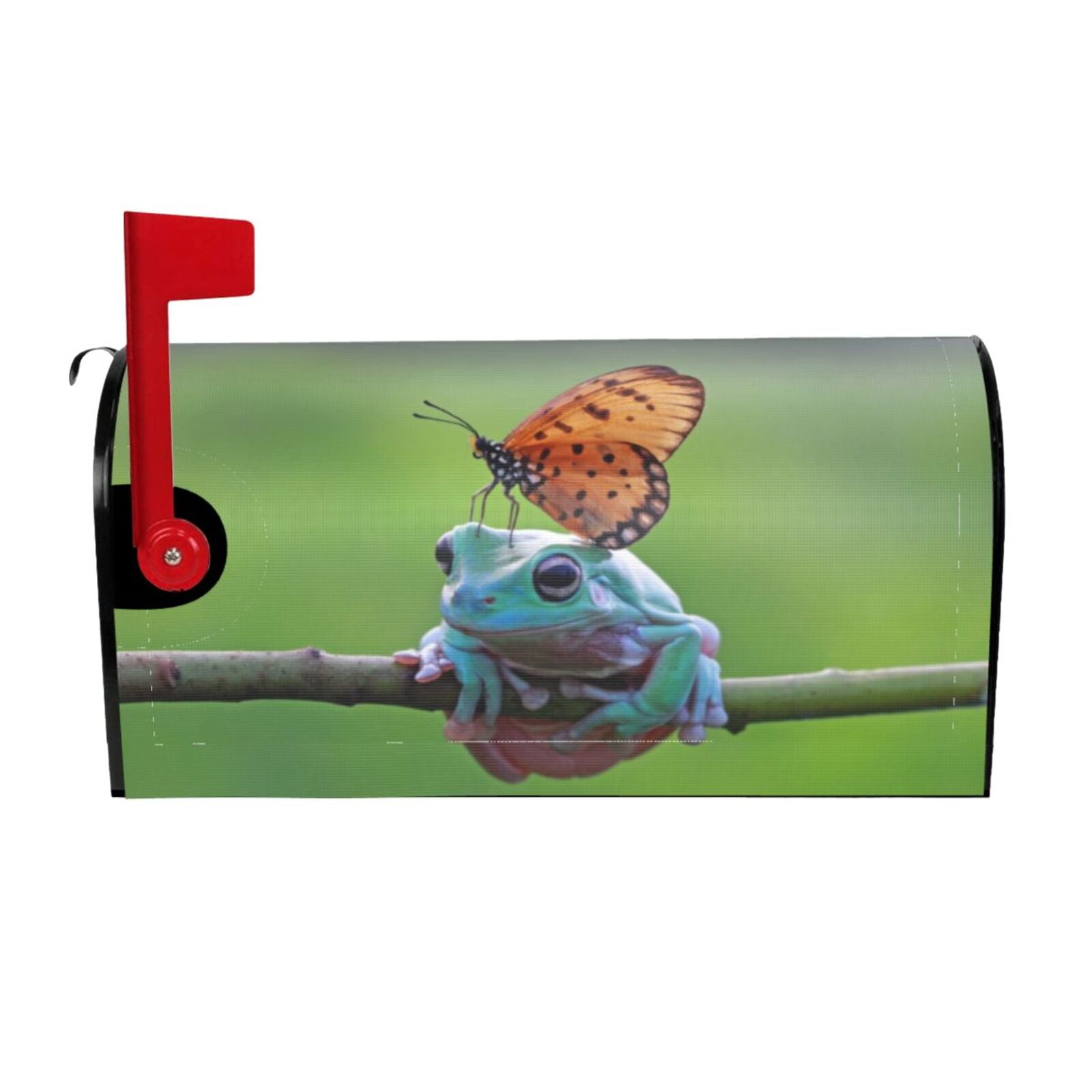 Picia Butterfly Landing On Head Dumpy Frog Magnetic Mailbox Cover ...