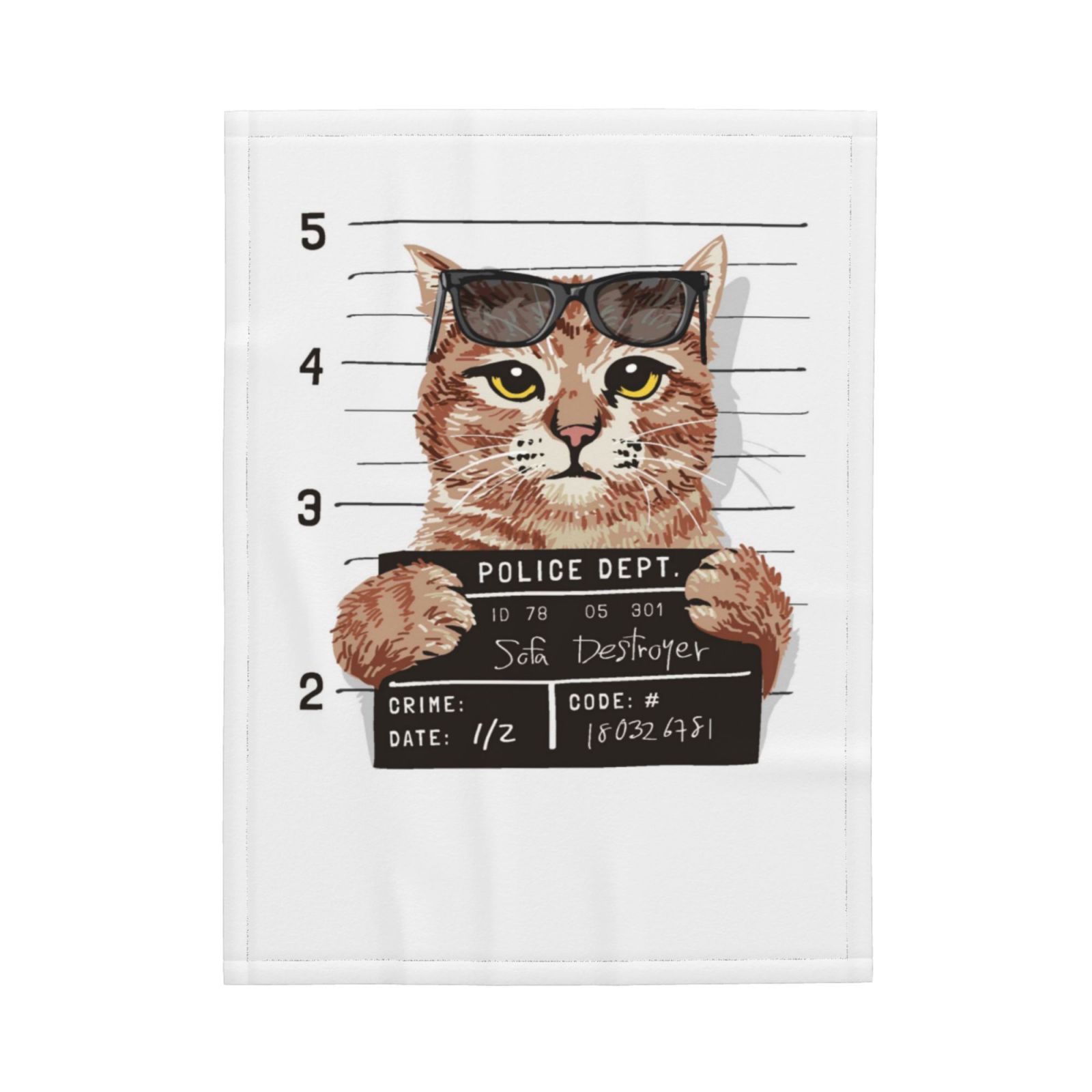 Picia Cat Holding Mugshot Sign Pattern Baby Soft Dot Blanket with Silky ...