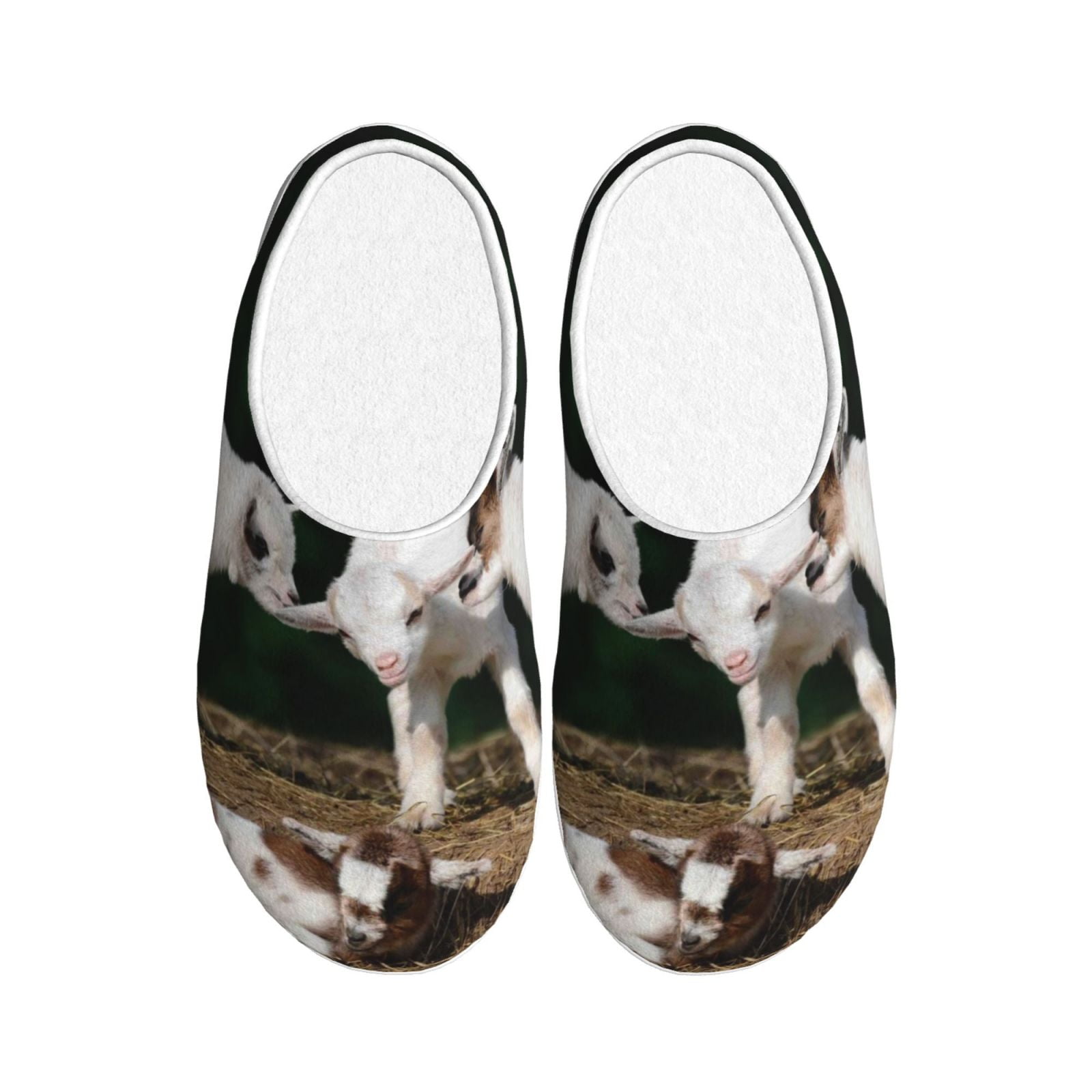 Picia Cute Goat Baby for Women's Lamb-hug Comfy Fleece House Slippers ...