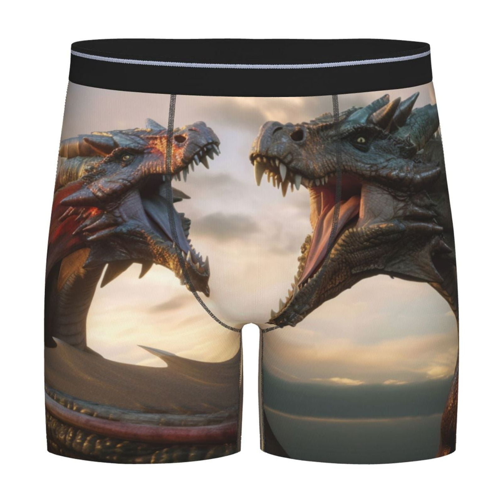 Picia Friendship Dragon Pattern Men's Athletic Long Leg Briefs ...