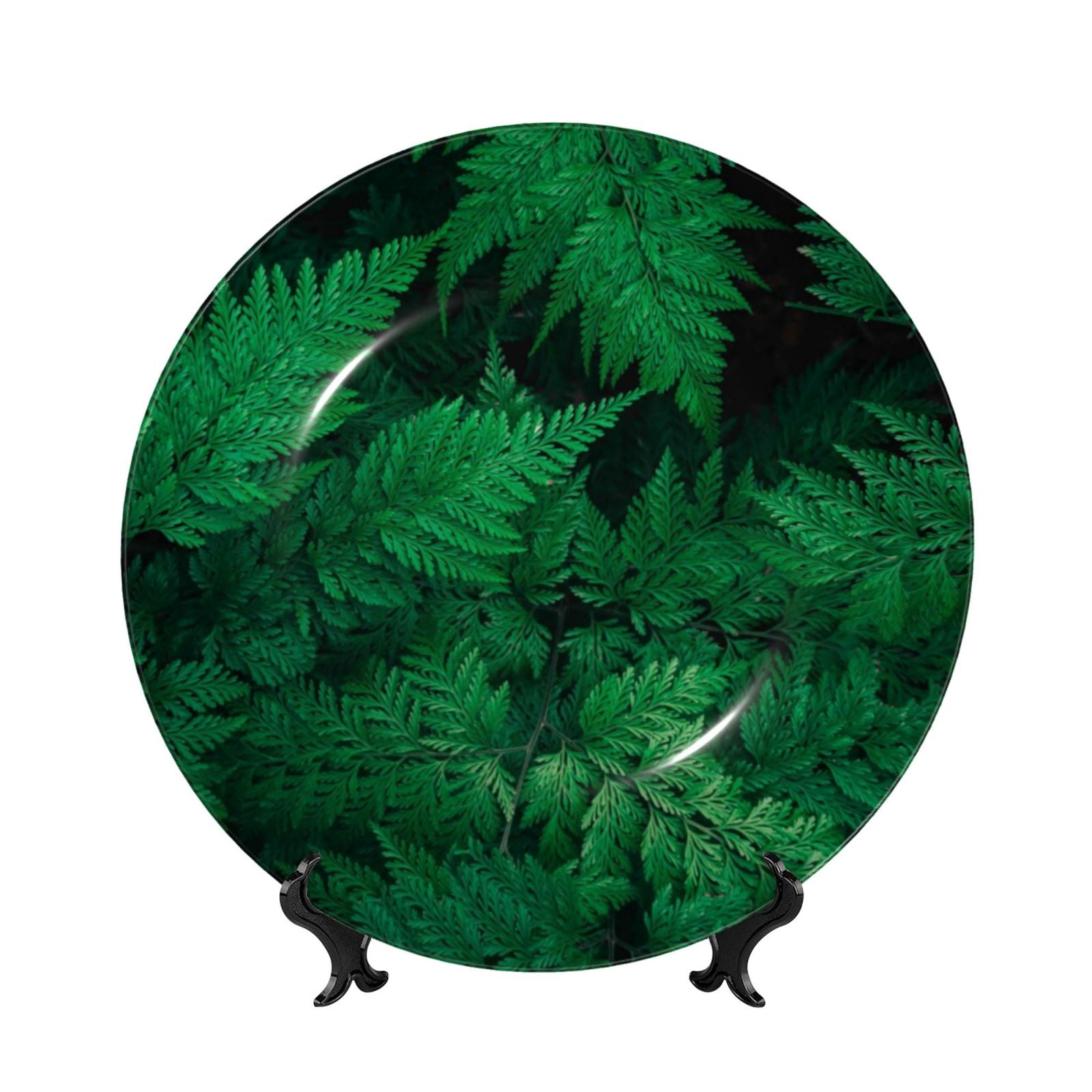 Picia Green Leave Fern Pattern Bone China Decorative Plate – Wall Decor ...