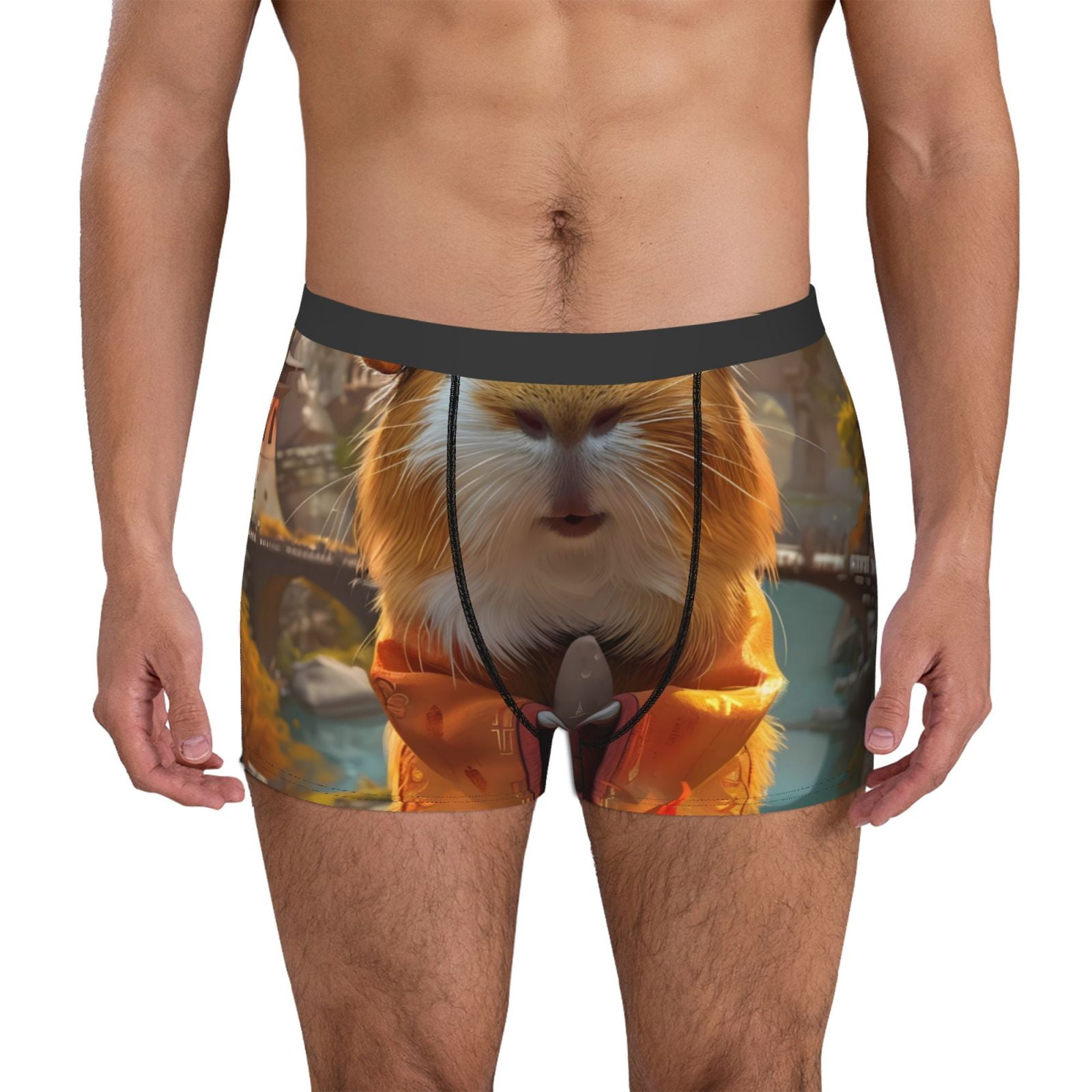 Picia Valley Meditating Guinea Pig Pattern Men’s Boxer Briefs – Soft & Breathable Underwear ...