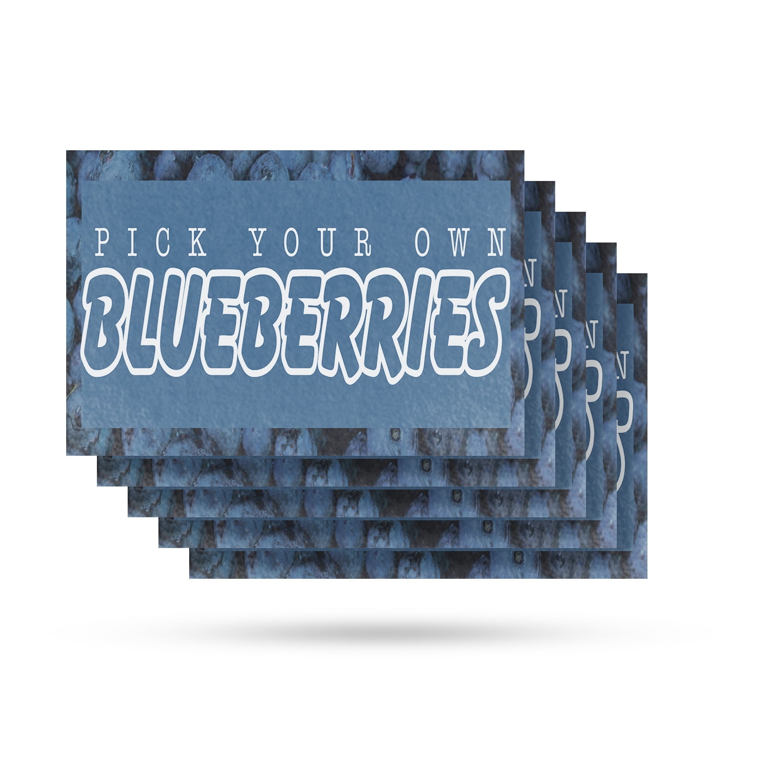 Pick Your Own Blueberries Vinyl Decal 5 Pack of 12 Inch x 16 Inch ...