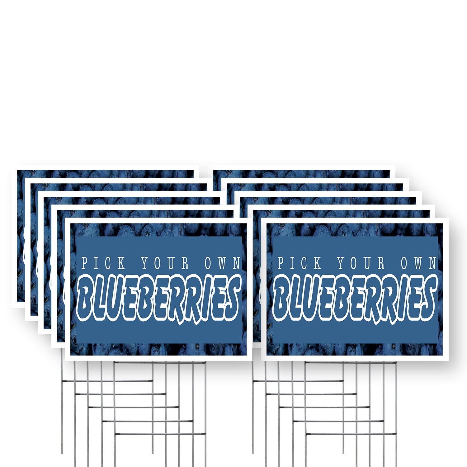 Pick Your Own Blueberries Yard Sign 10 Pack of 12 Inch x 16 Inch Double ...