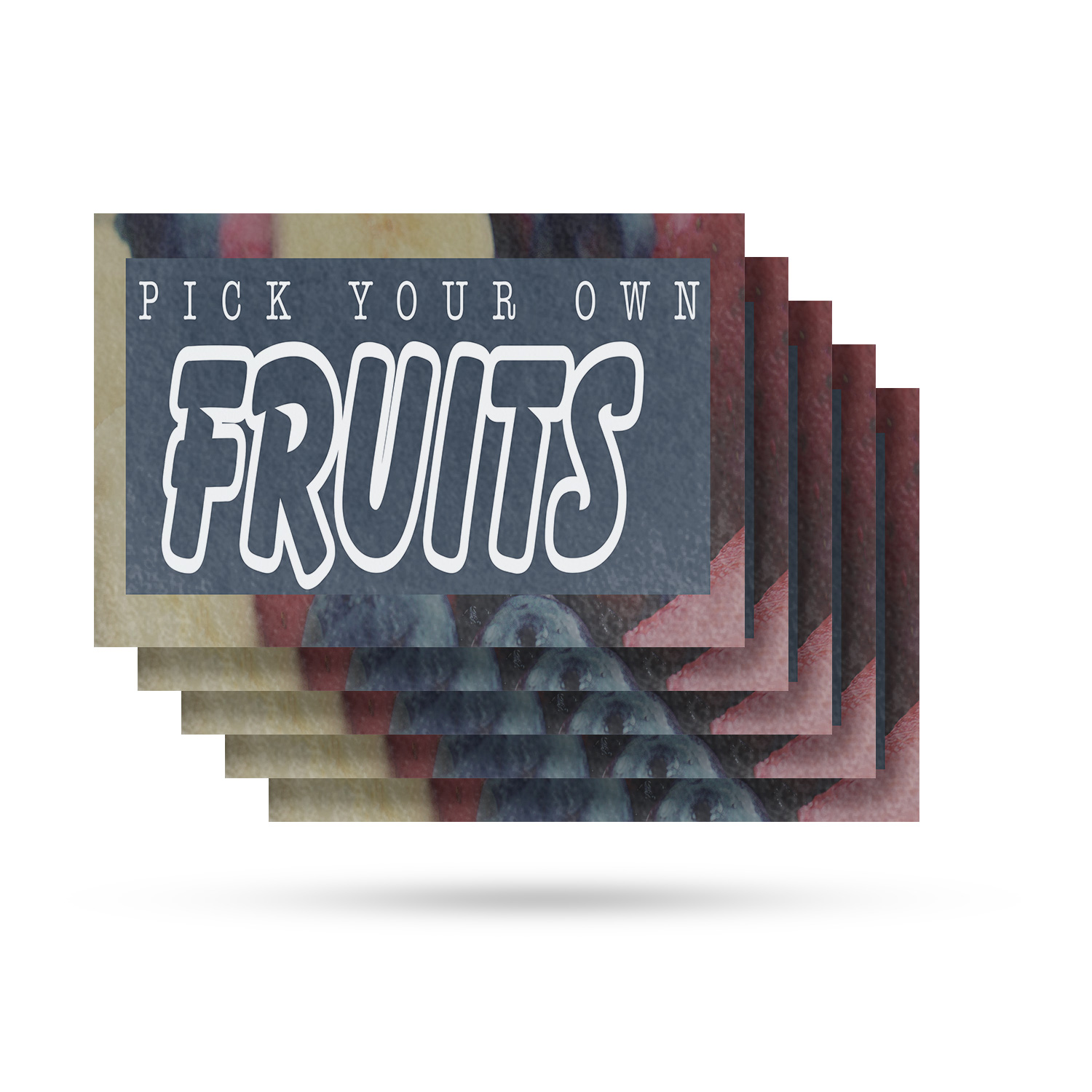 Pick Your Own Fruits Vinyl Decal 5 Pack of 18 Inch x 24 Inch ...