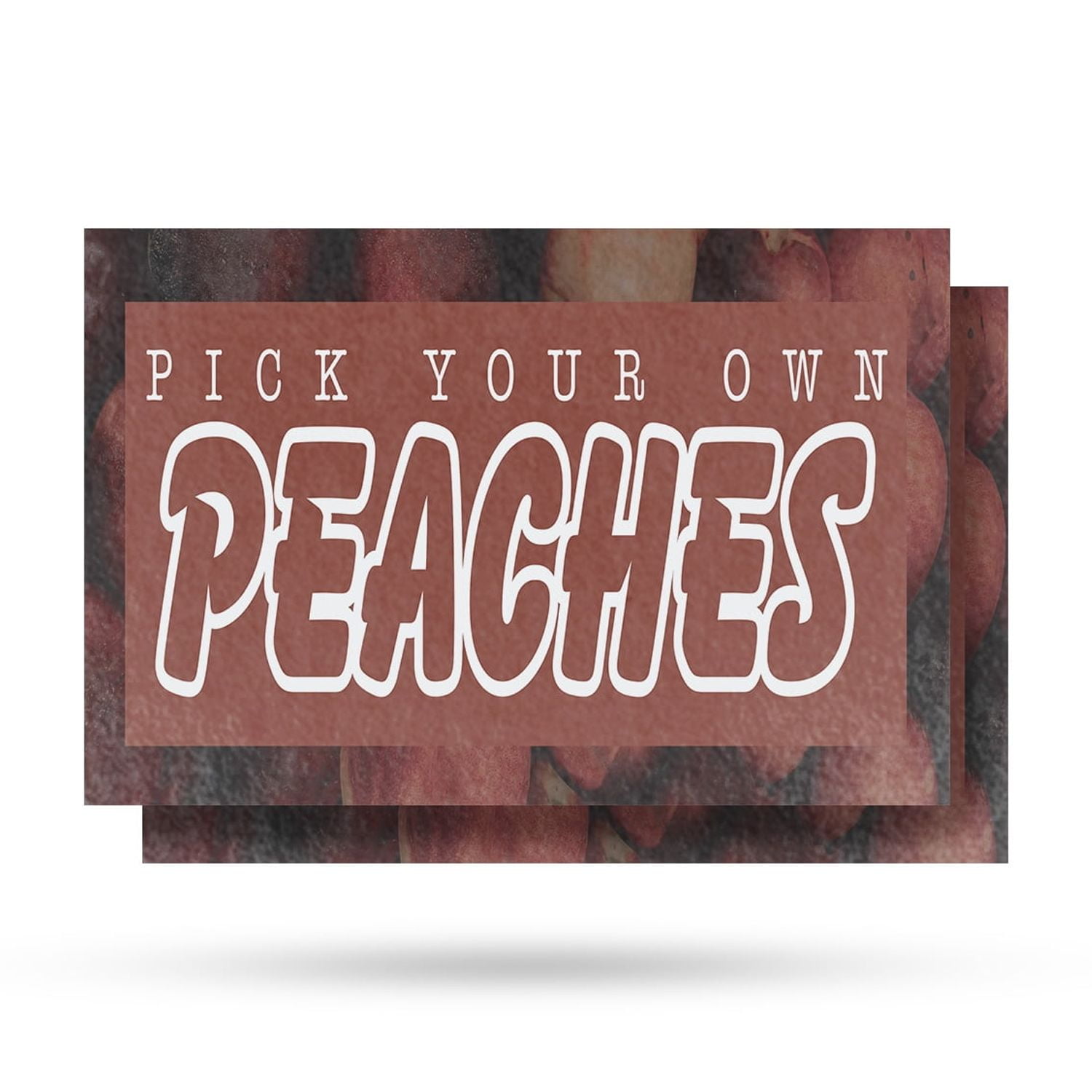 Pick Your Own Peaches Vinyl Decal 2 Pack of 18 Inch x 24 Inch ...