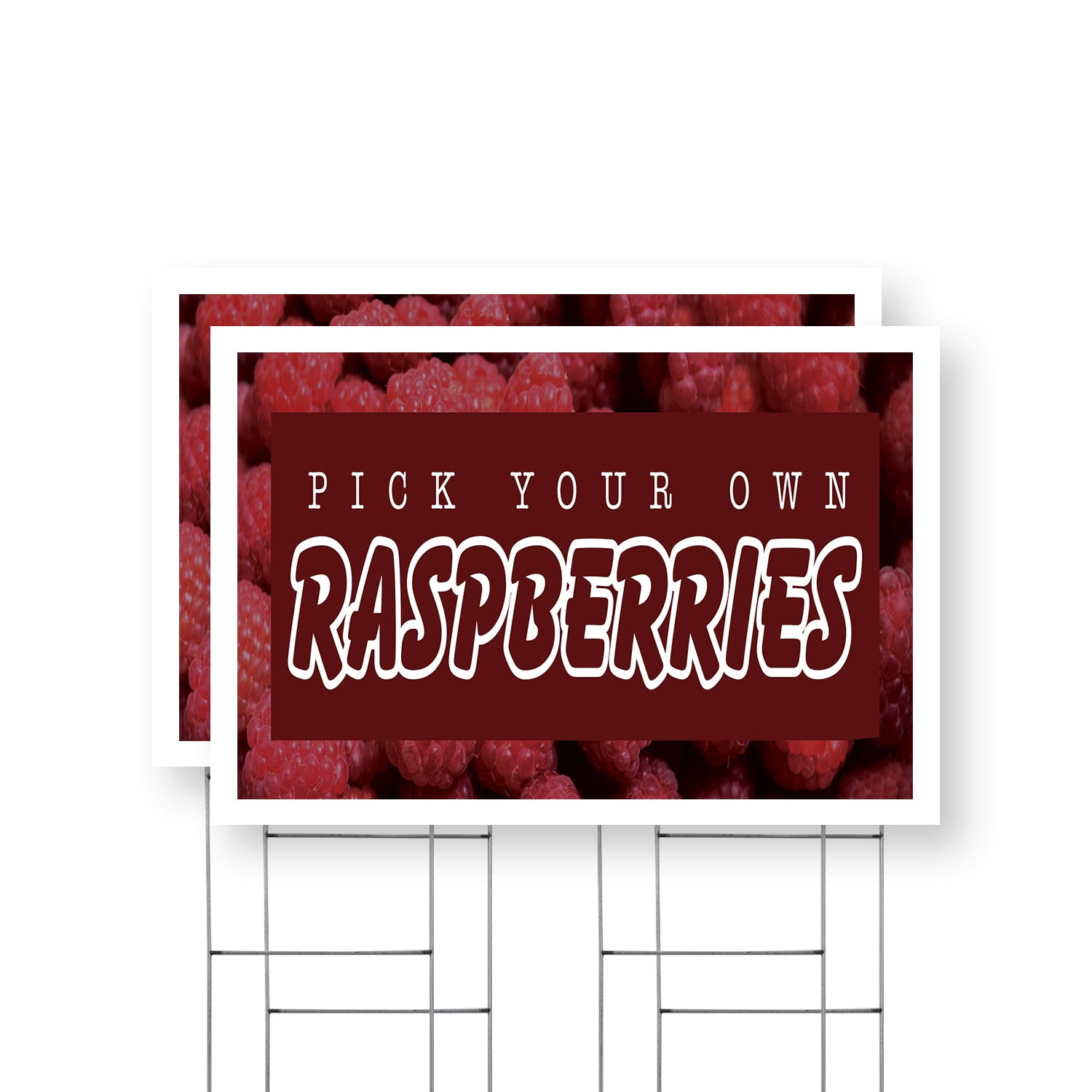 Pick Your Own Raspberries Yard Sign 2 Pack of 24 Inch x 36 Inch Single ...