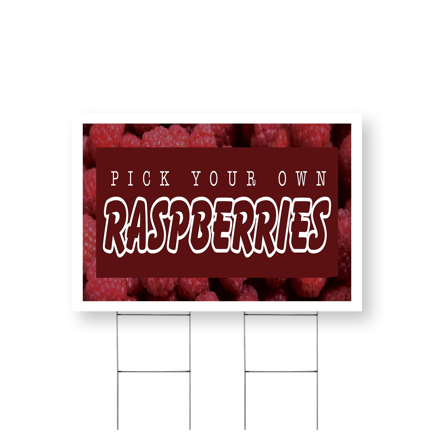 Pick Your Own Raspberries Yard Sign 24 Inch x 36 Inch Single Sided ...