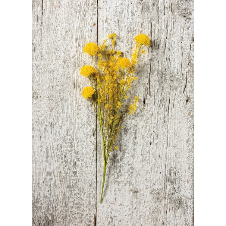 Pick - Thistle Mix Yellow - Walmart.com