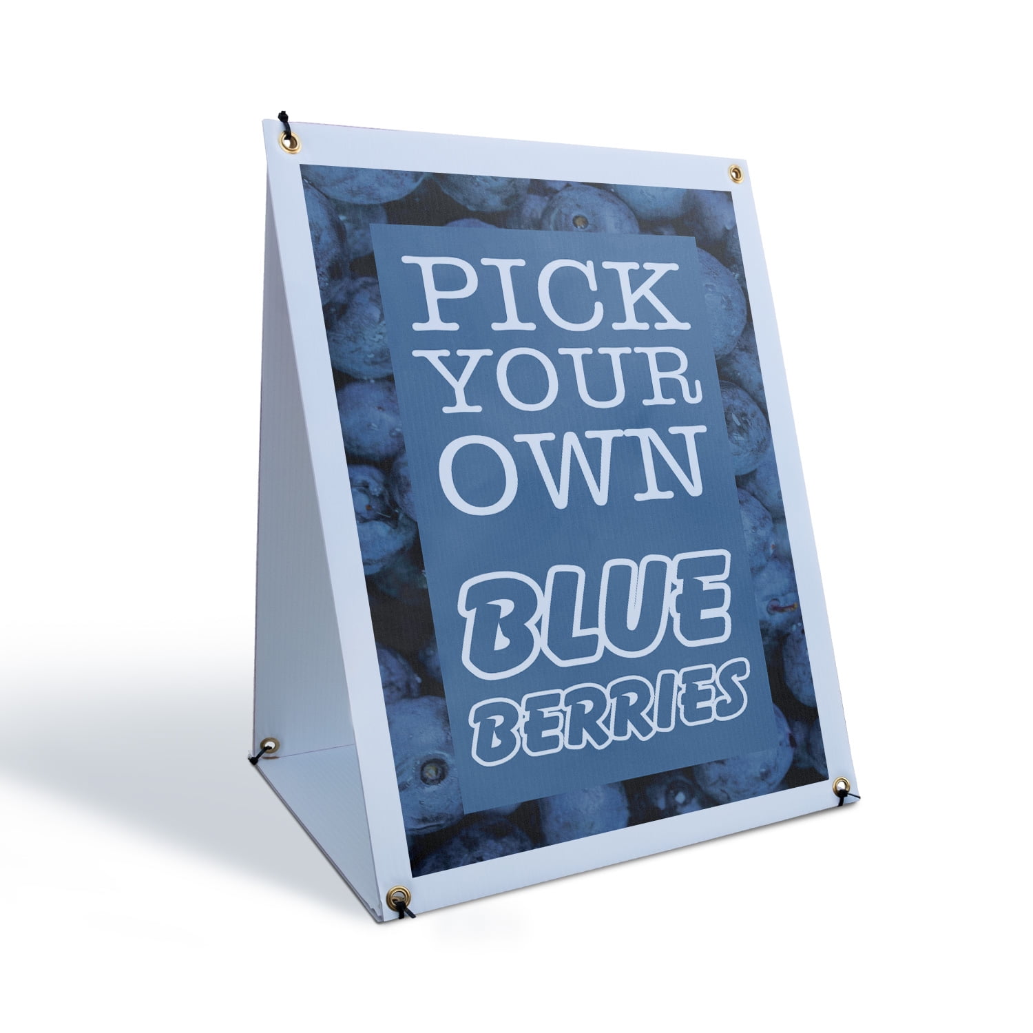 Pick Your Own Blueberries Sidewalk Sign 24 Inch x 36 Inch A-Frame ...