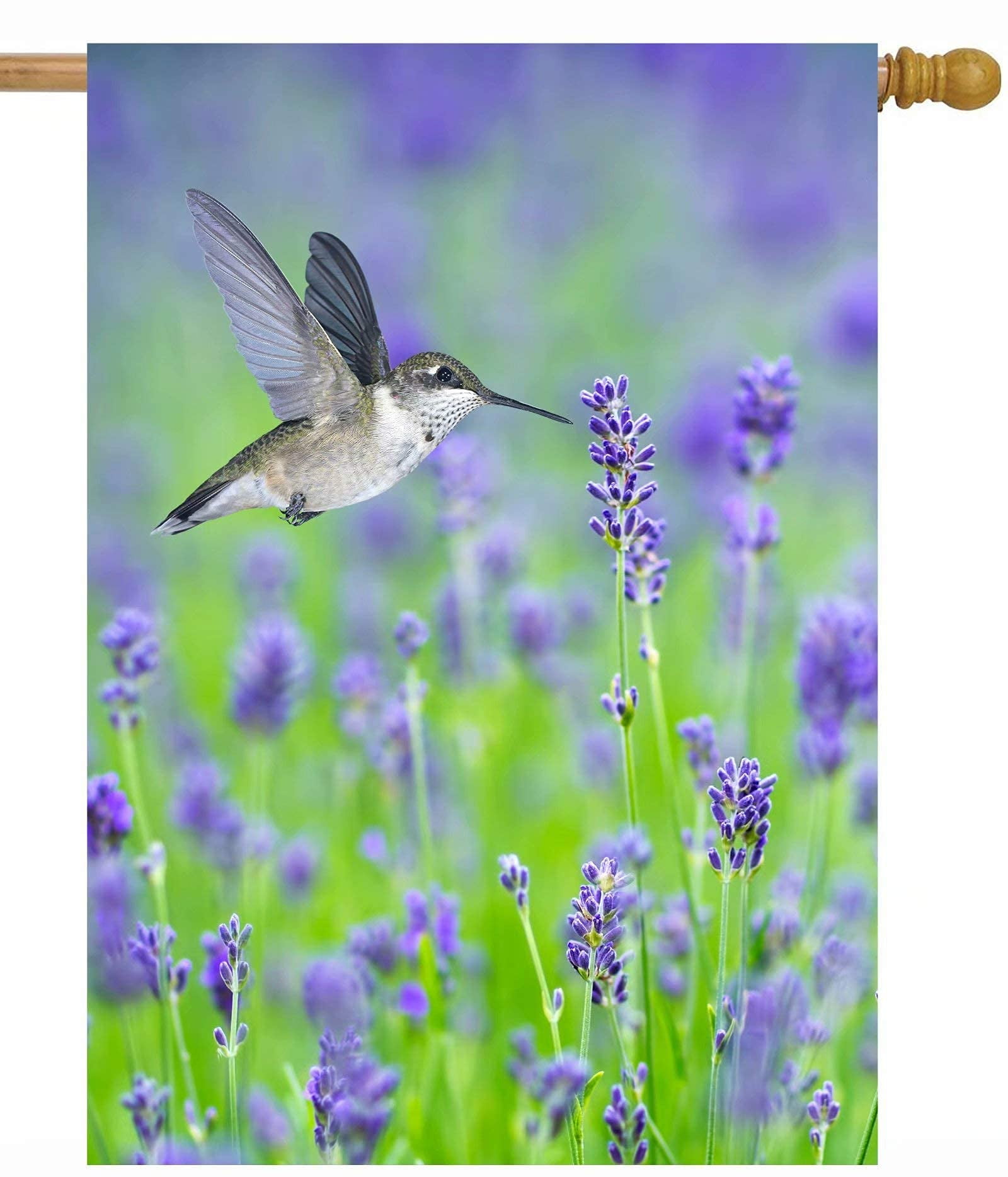 Pickako Tropical Summer Spring Hummingbird Bird In Purple Lavender ...