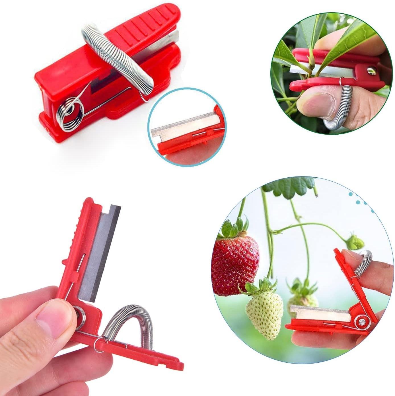 Picking Knife Thumb Knife Vegetable Cucumber Picking Knife Pack ...