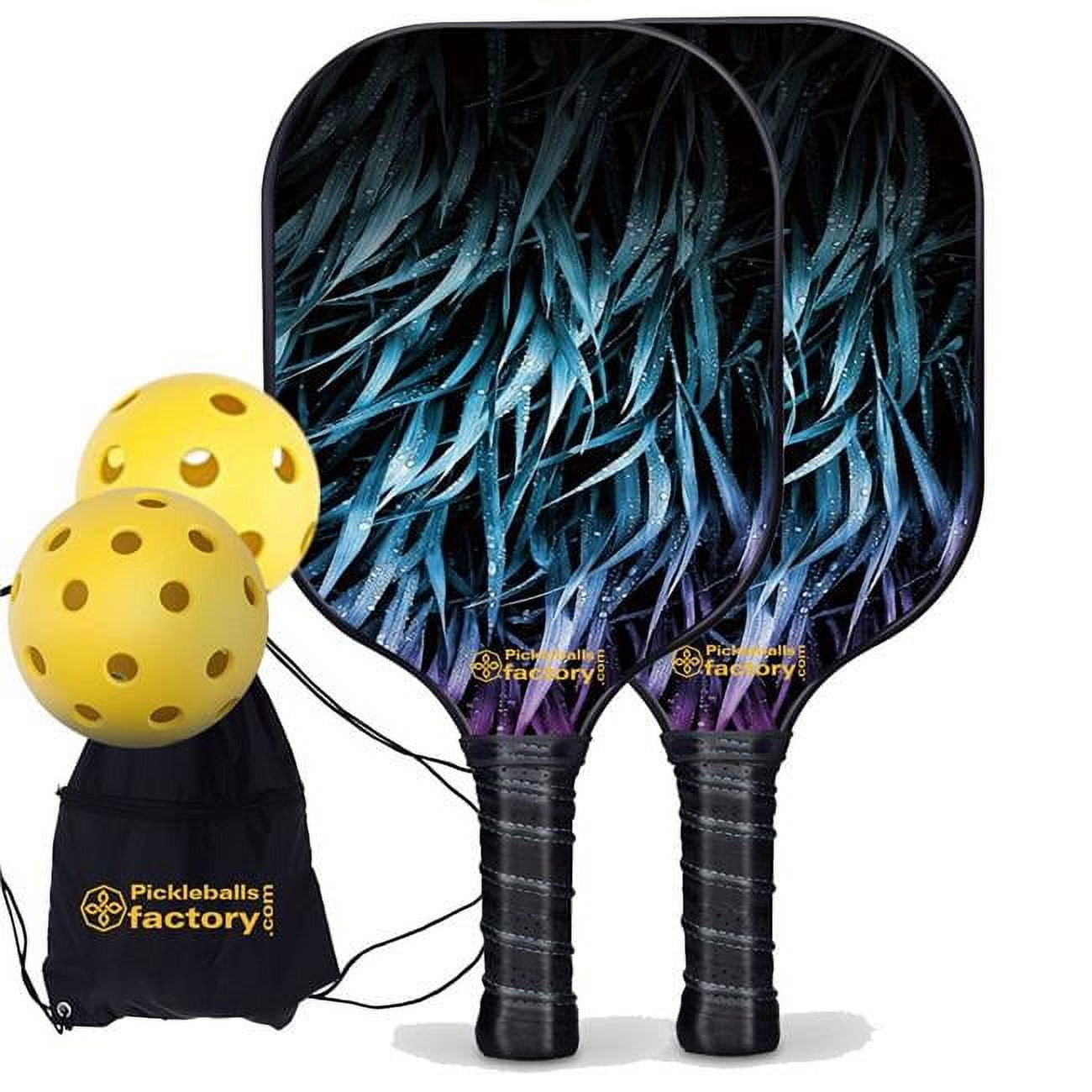 Pickleball Factory PB00045-4-G Pickleball Starter Set - Leaves ...