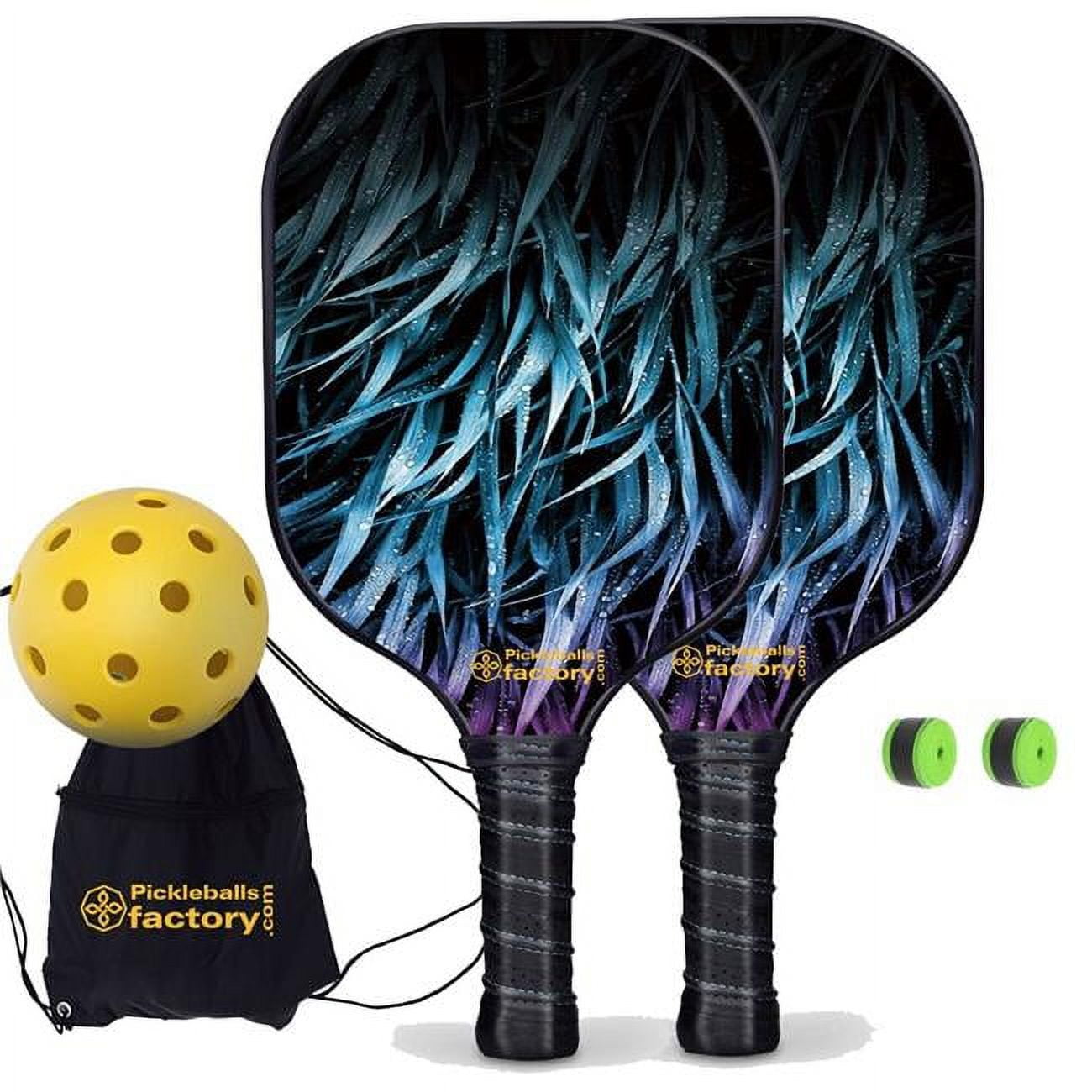 Pickleball Factory PB00045-6-C Pickleball Starter Set - Leaves ...