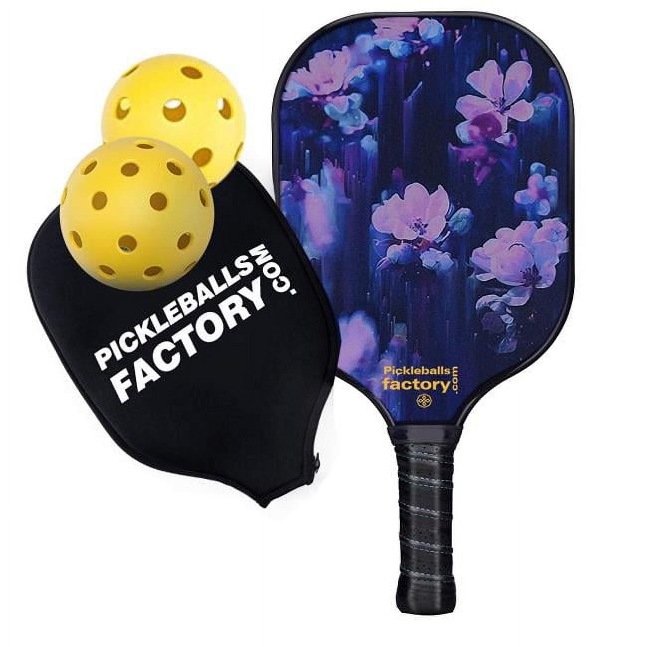 Pickleballs Factory SX0054-3 Pickleball Racquet & Most Expensive ...