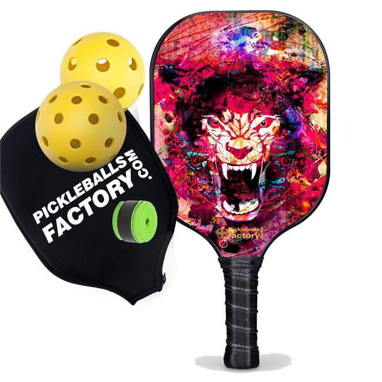 Pickleballtournament Paddle - Tiger Lifetime Pickleball, Lightest ...