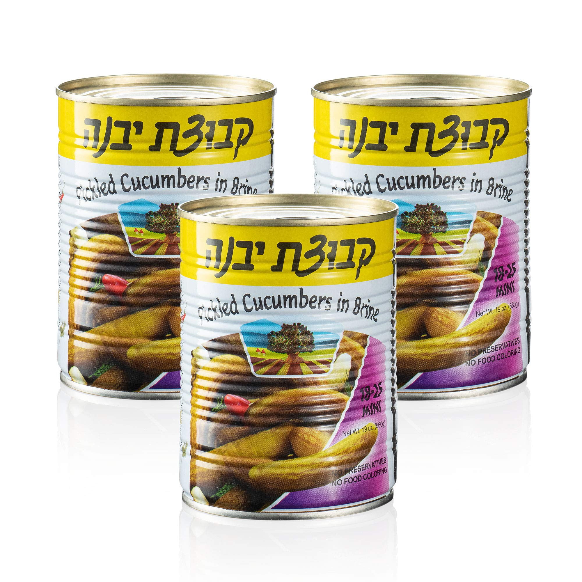 Pickled Cucumbers in SCH4 Brine - Crispy Cucumber Pickles, All Natural ...