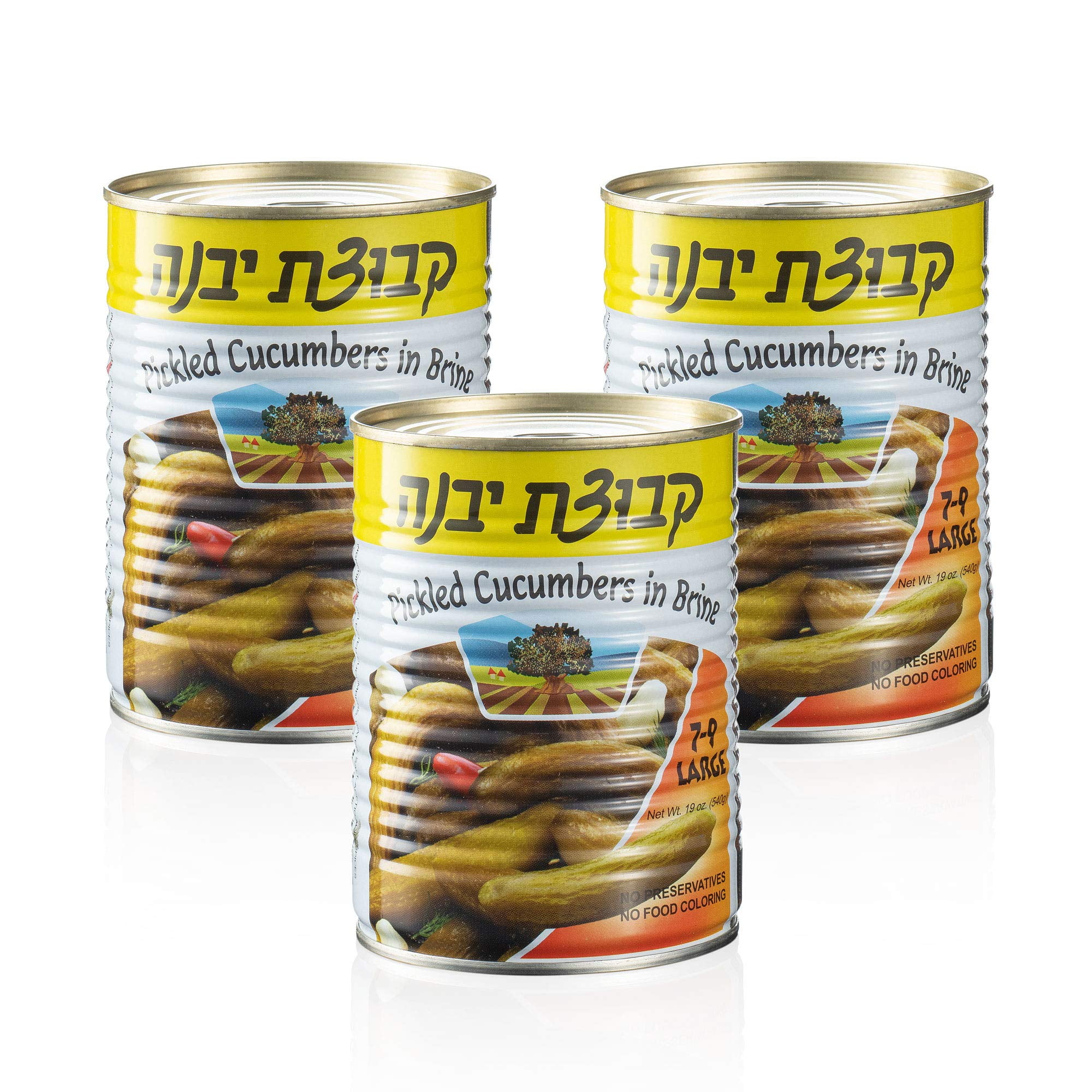Pickled Cucumbers in Brine | Crispy KKS1 Cucumber Pickles, All Natural ...