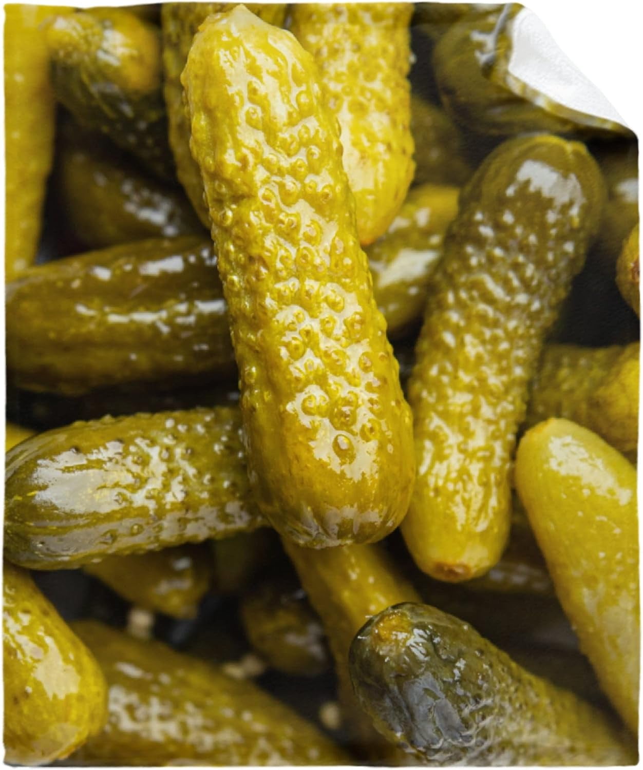 Pickles Blanket for Fall Winter Spring All Season Warm Fuzzy 40x50 Inch ...