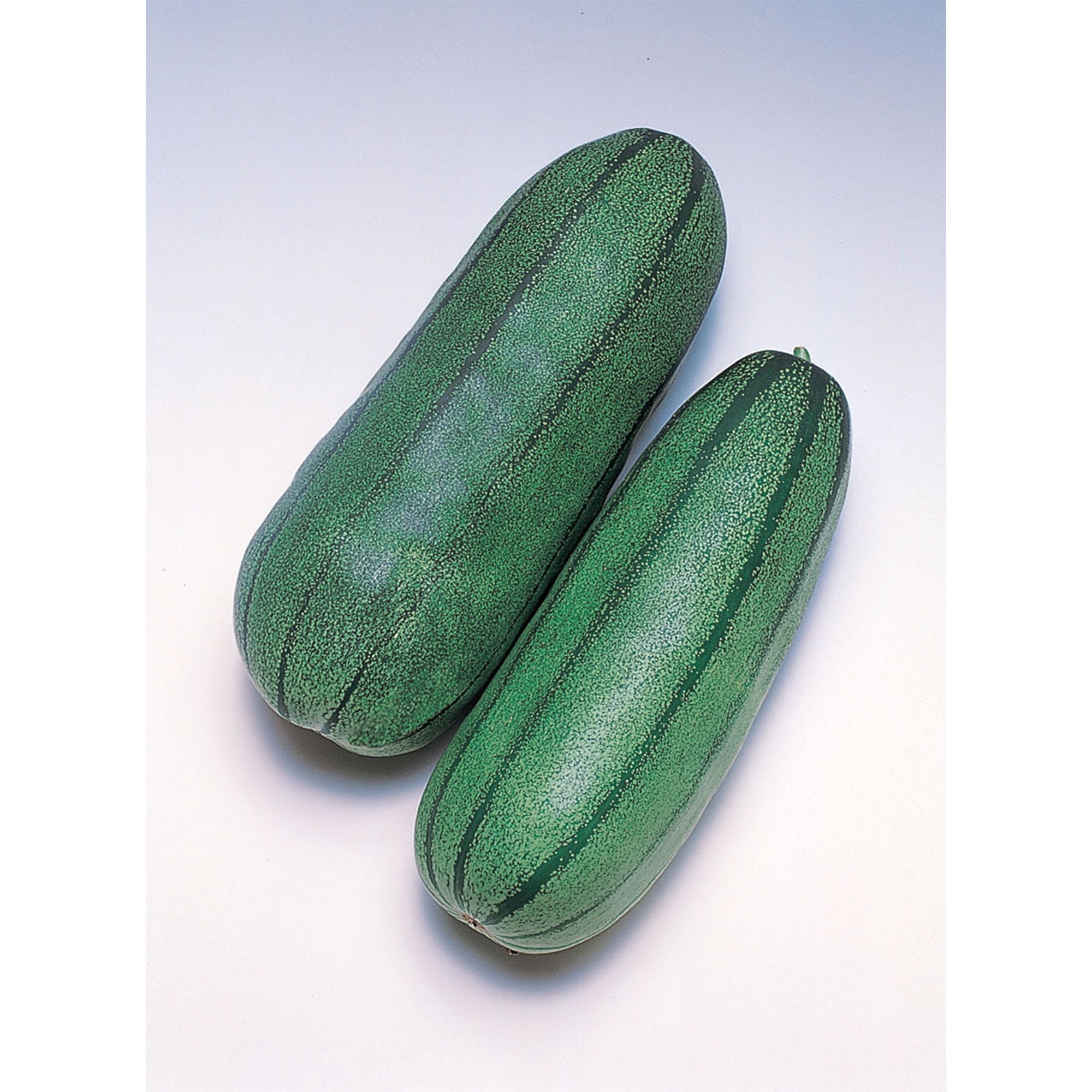 Pickling Melon Seeds - Green Striped - 500 Mg Packet ~32 Seeds - Non ...