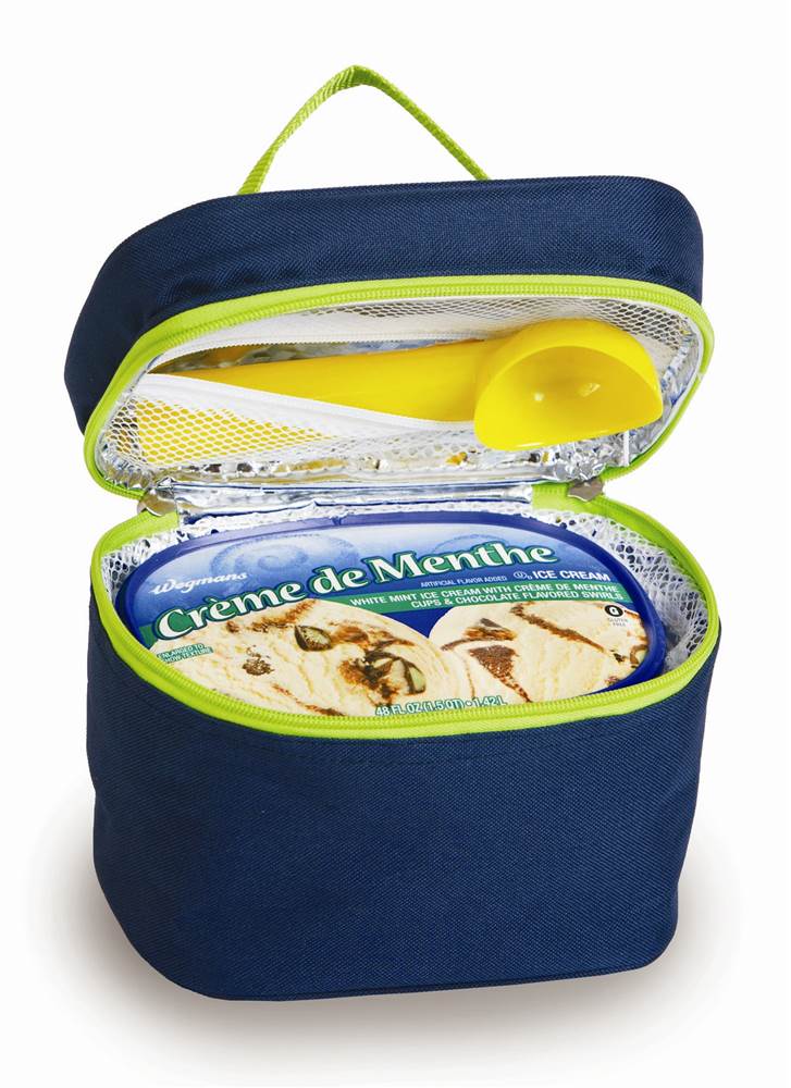 Picnic Plus Insulated Ice Cream Carrier Cool Container - Walmart.com