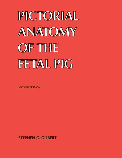 Fetal Pigs