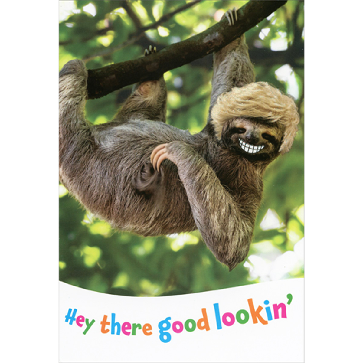 Pictura Hey There Good Lookin: Grinning Sloth Wearing Blonde Wig Funny / Humorous Birthday Card ...