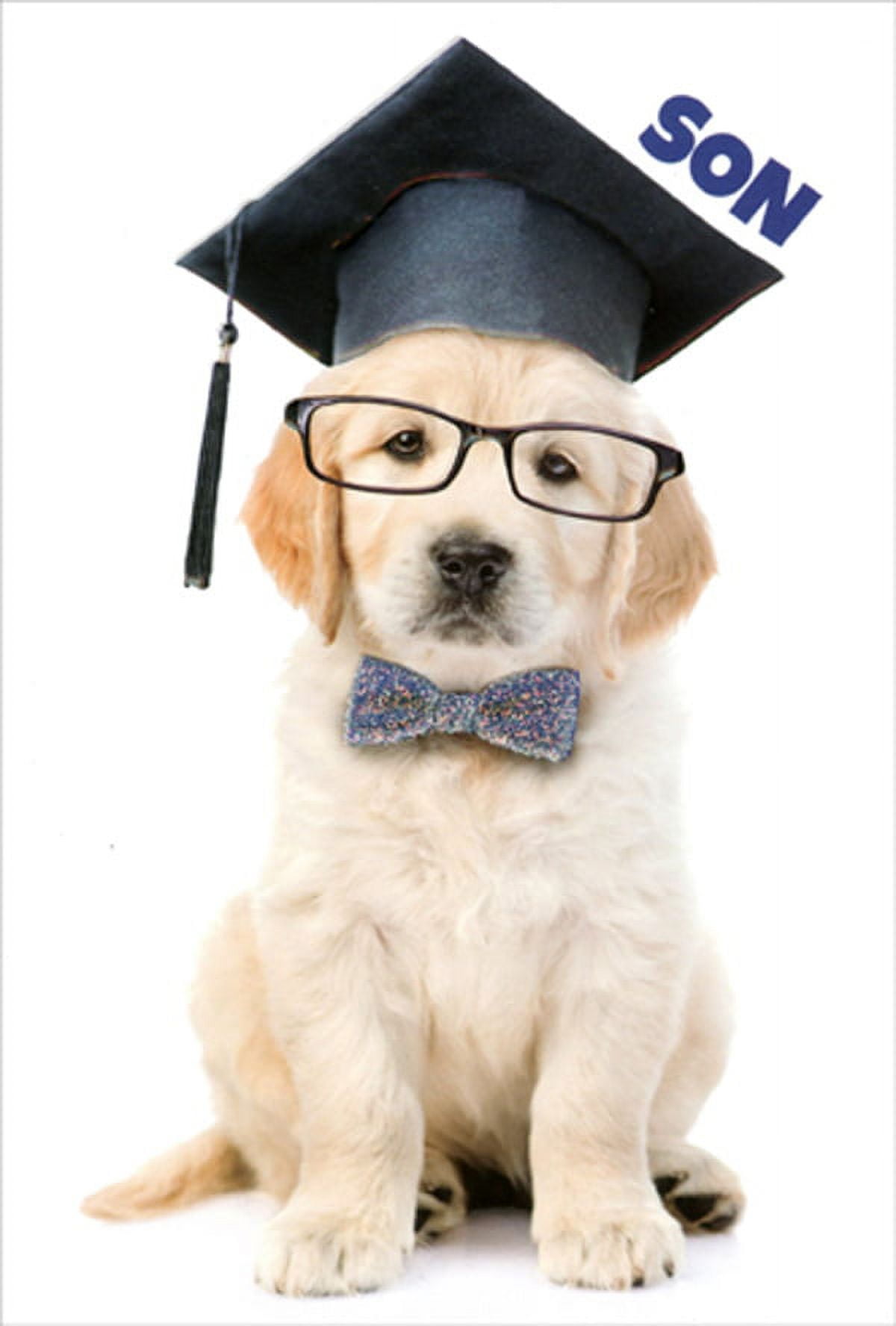 Pictura Puppy Wearing Grad Cap, Glasses and Bow Tie Graduation ...