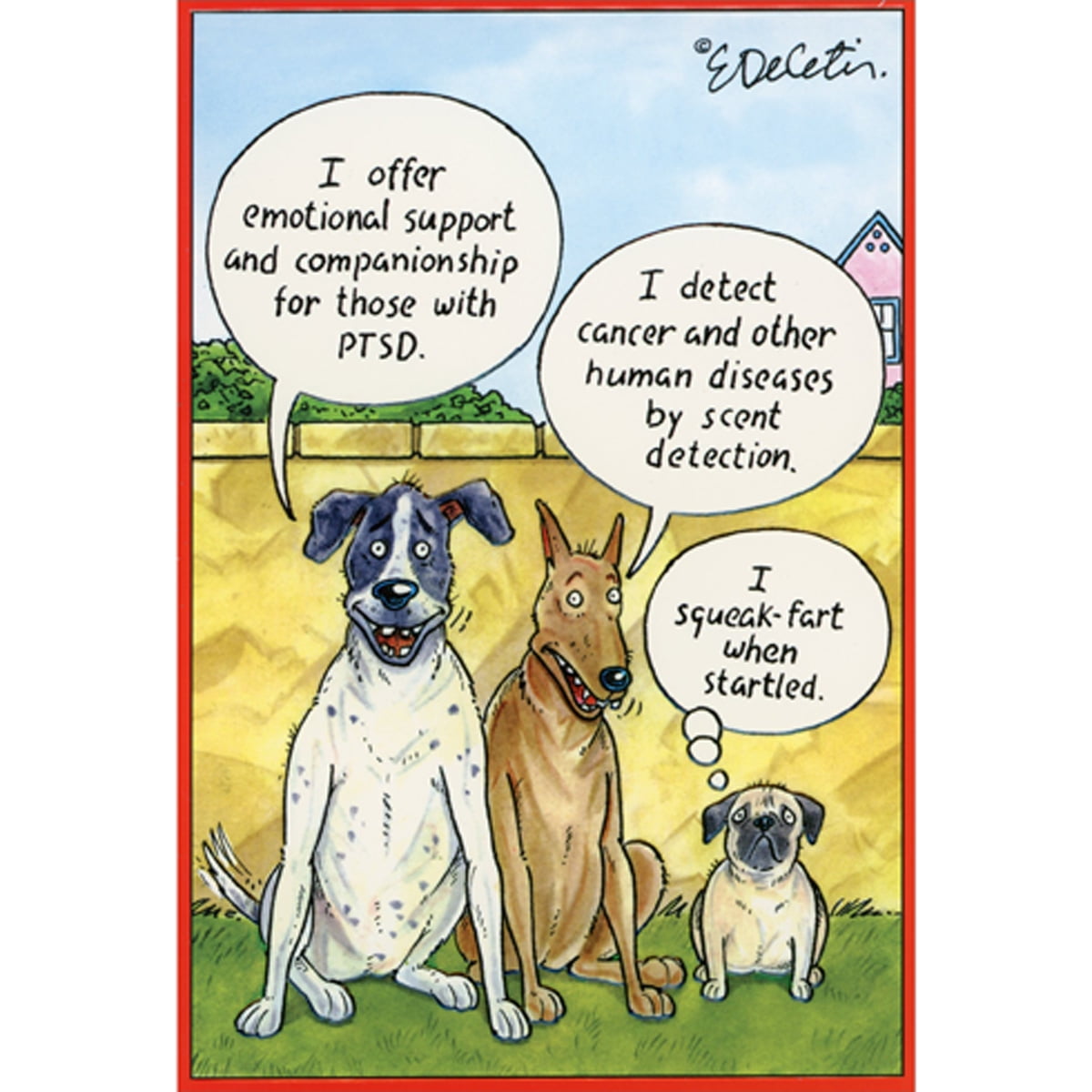 Pictura Squeak Fart Dog Funny / Humorous Birthday Card - Walmart.com