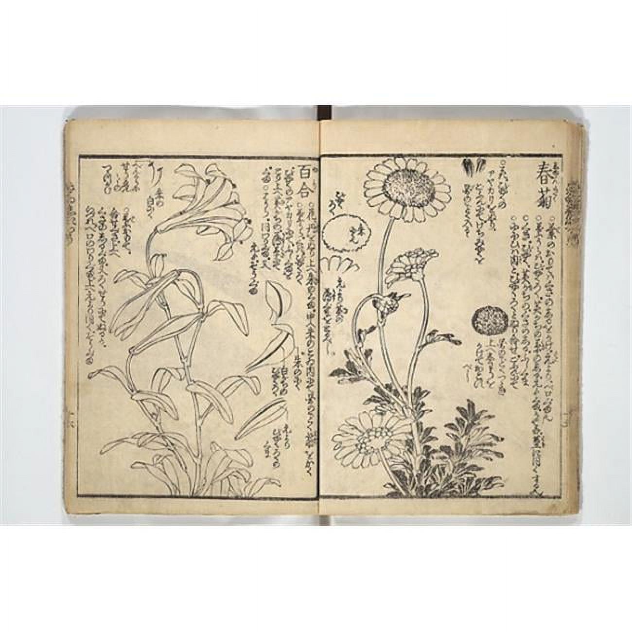 Picture Book on the Use of Coloring First Volume Ehon Saishikitsu ...