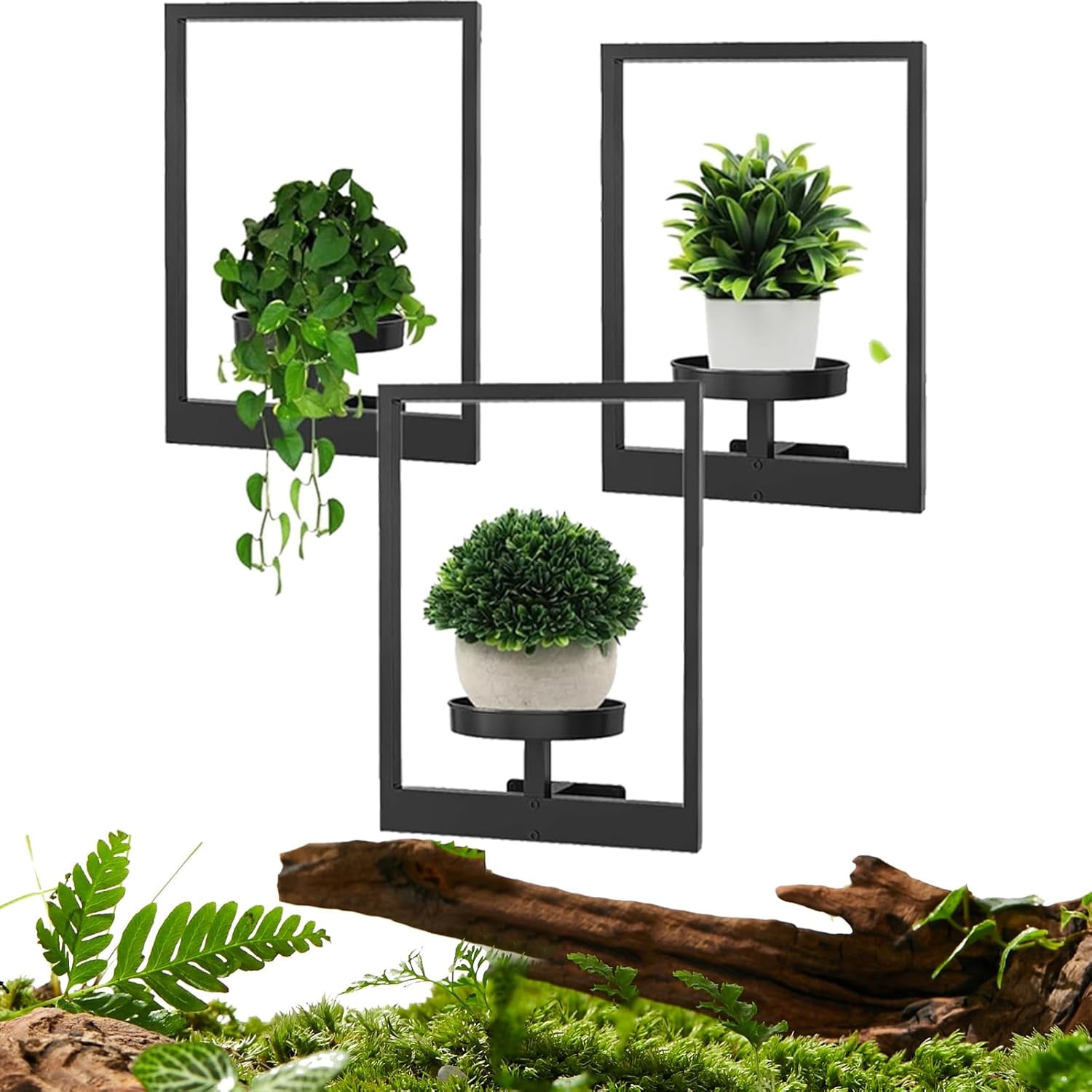 Picture Frame Wall Plant Holder, Plant Frame, Window Plant Shelves ...