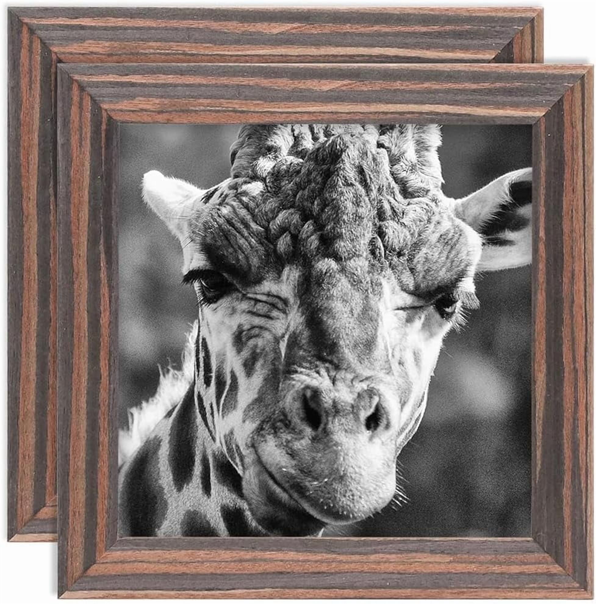 Picture Frames 5x5 2 Pack Made of Solid Wood Ebony Wood Grain for Wall ...