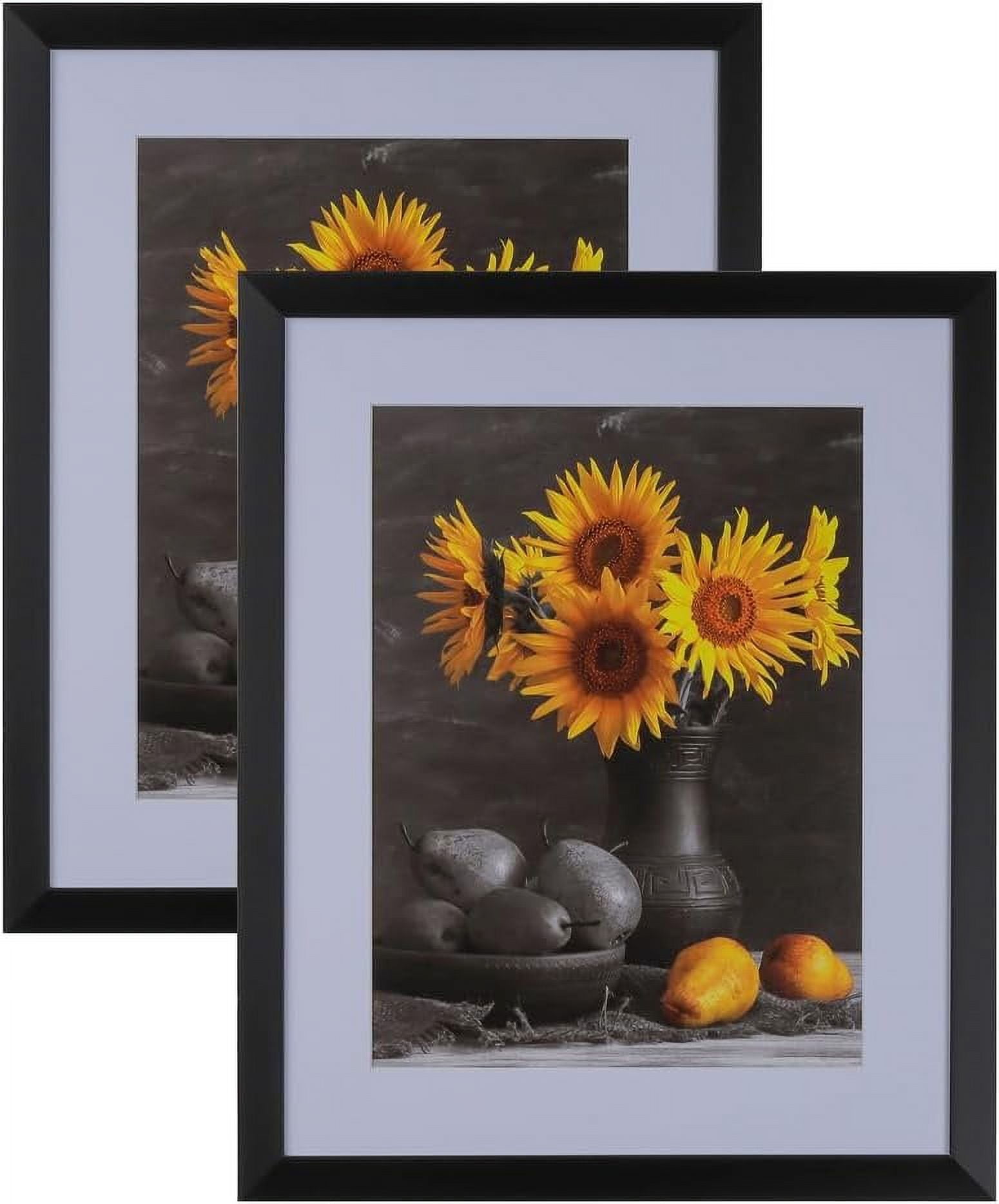 Picture Frames Set of 2. 1-1/8" Polystyrene Modern Black 14x22 ...